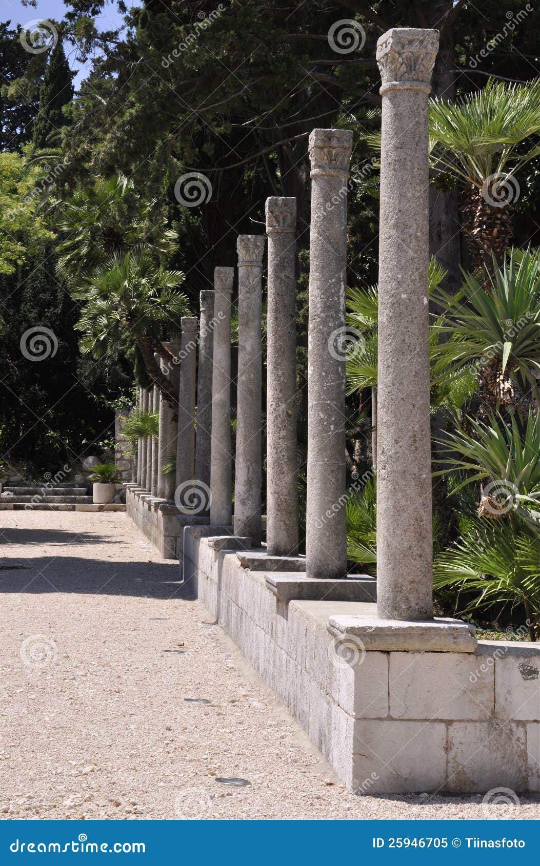 A line of old pillars stock image. Image of proud, alley - 25946705