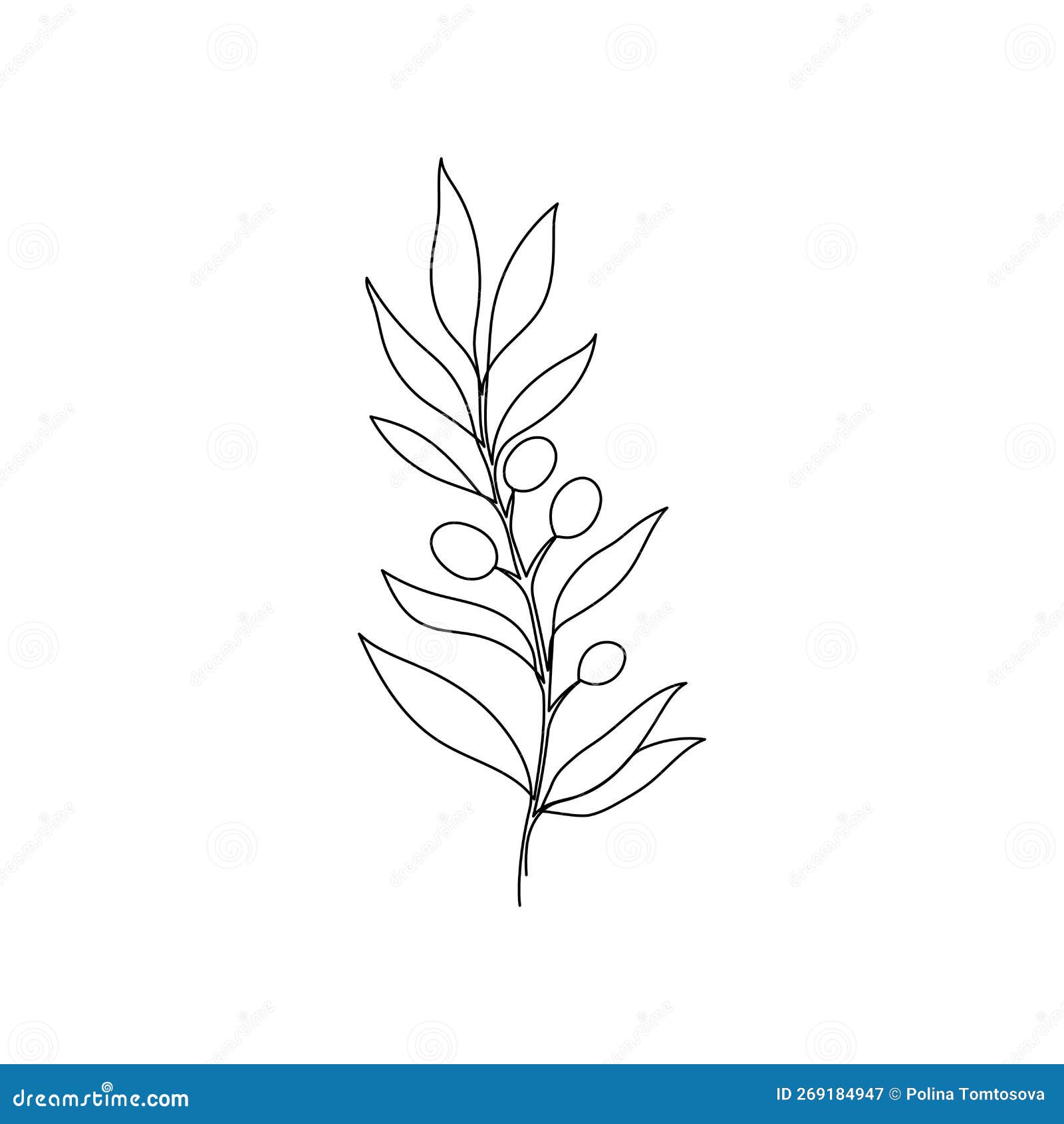 Line Olive Leaf Branch Art. One Continuous Line Art Decorative Olive ...