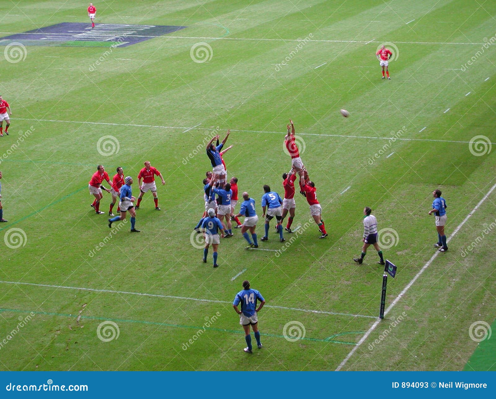 Line-out stock image. Image of audience, match, game, ground - 894093