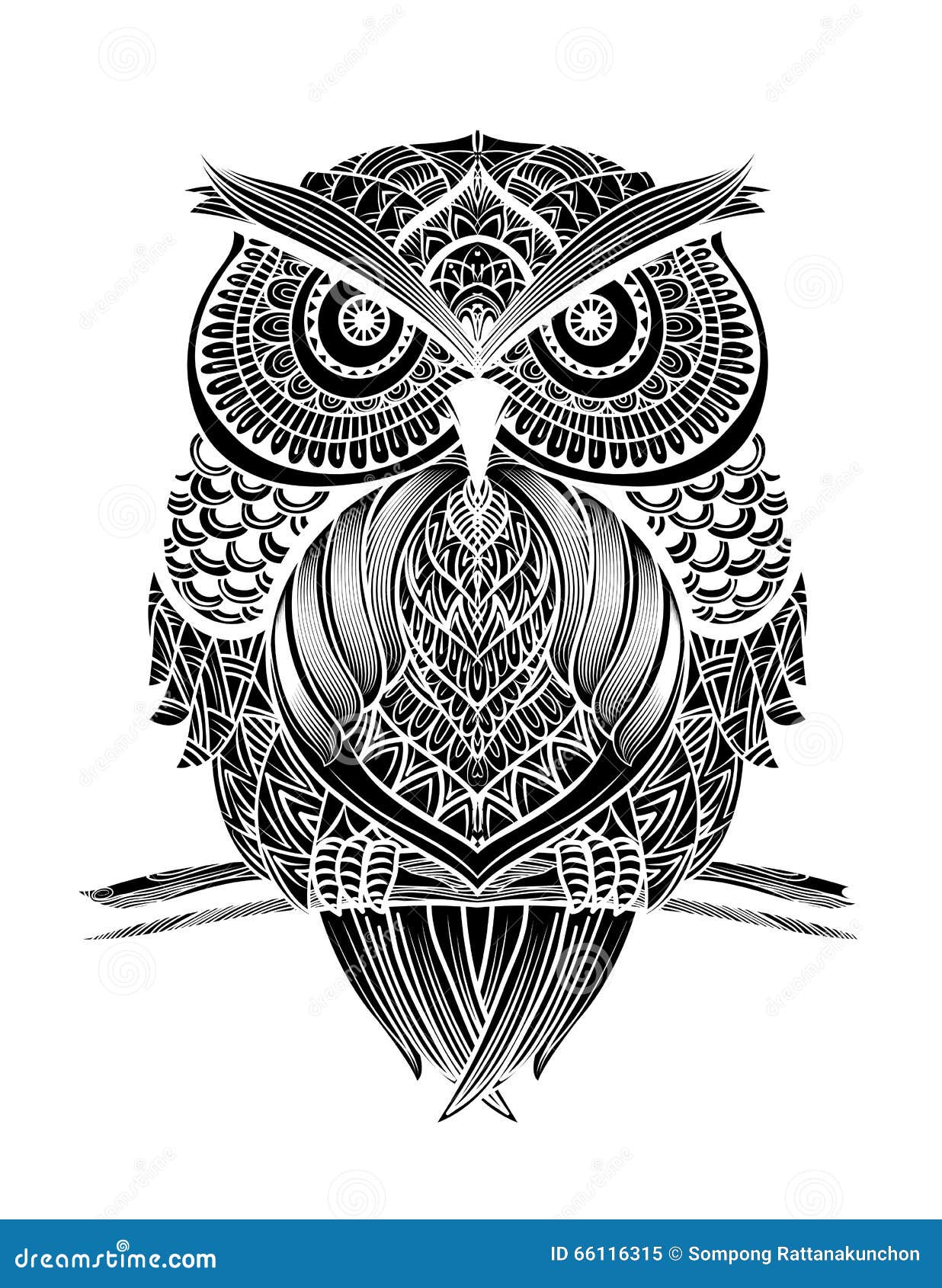 Line owl back stock vector. Illustration of drawn, silhouette - 66116315