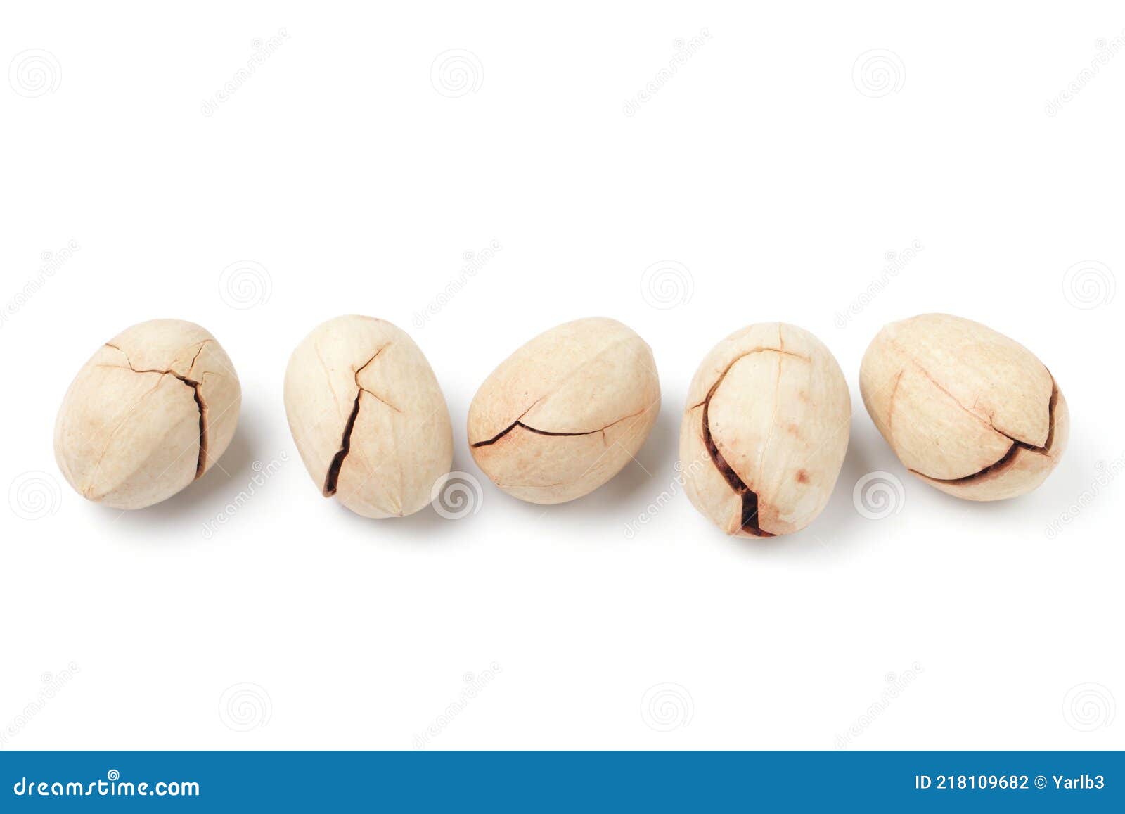 Line Pecans in Shell Close-up on a White Background Stock Photo - Image ...