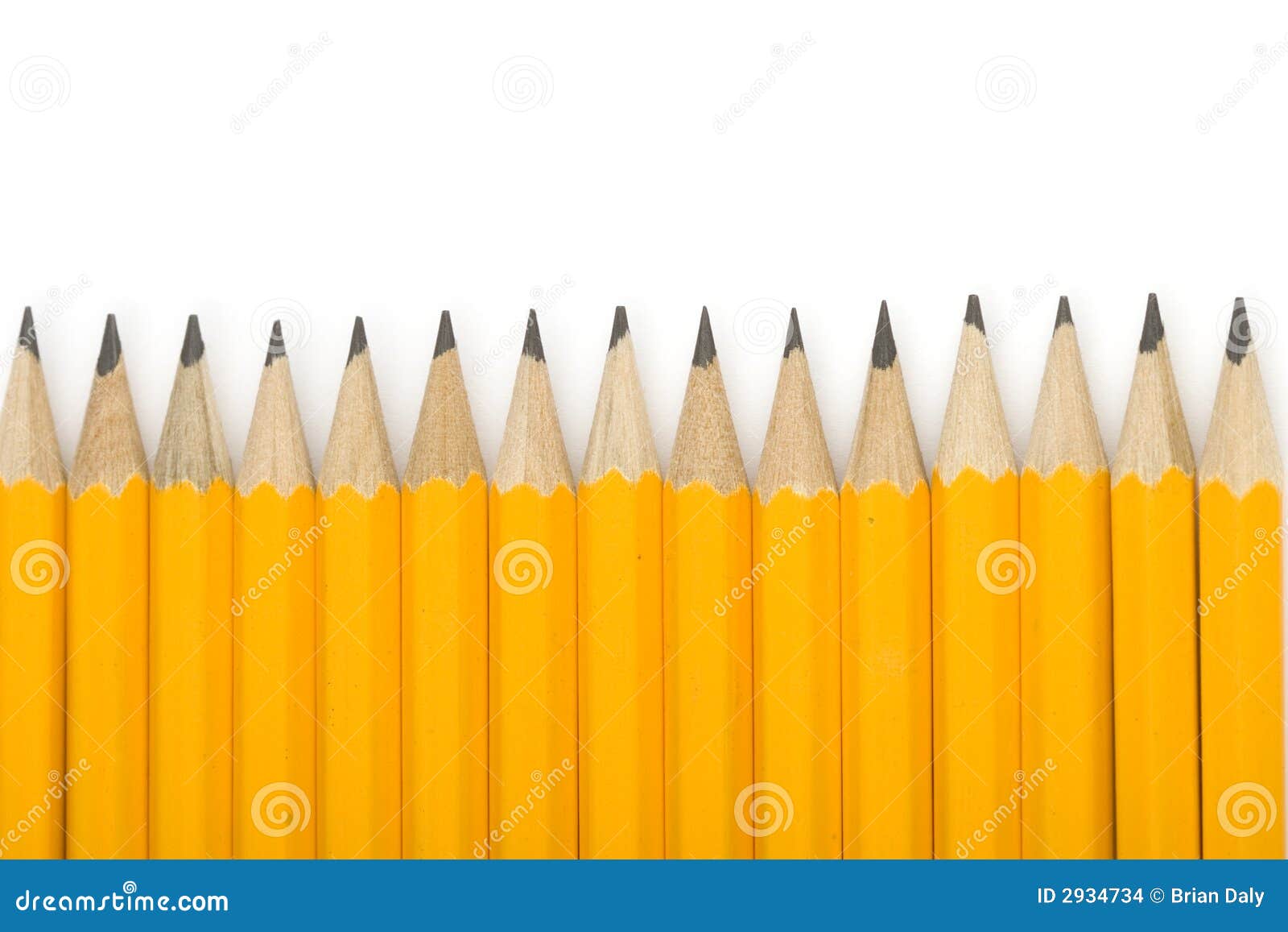 Line of pencils stock photo. Image of pencils, school - 2934734