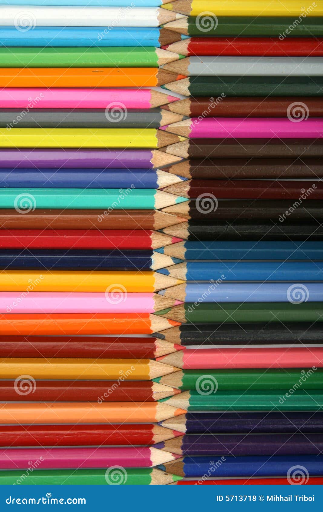 Line of pencils stock photo. Image of lines, sharp, drawing - 5713718