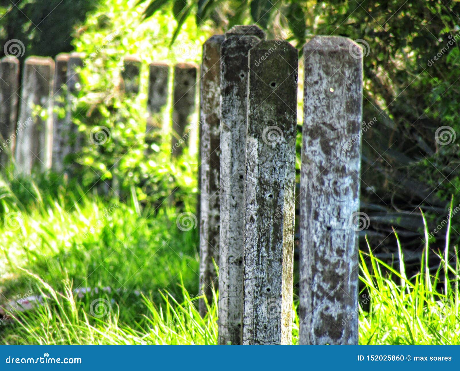A line of pillars stock photo. Image of industrial, artists - 152025860