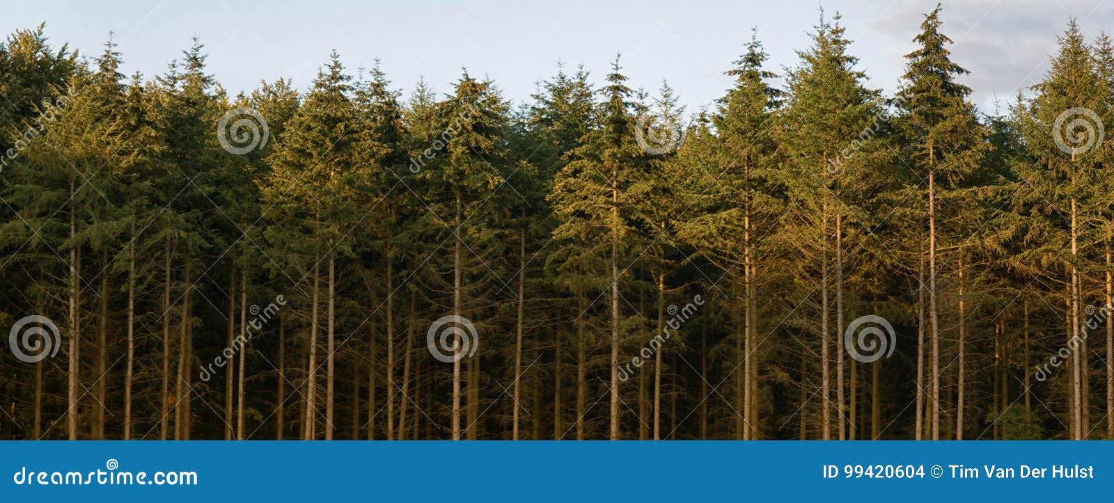 Trees Line The Horizon On The Inland Waterway Royalty-Free Stock Photo ...