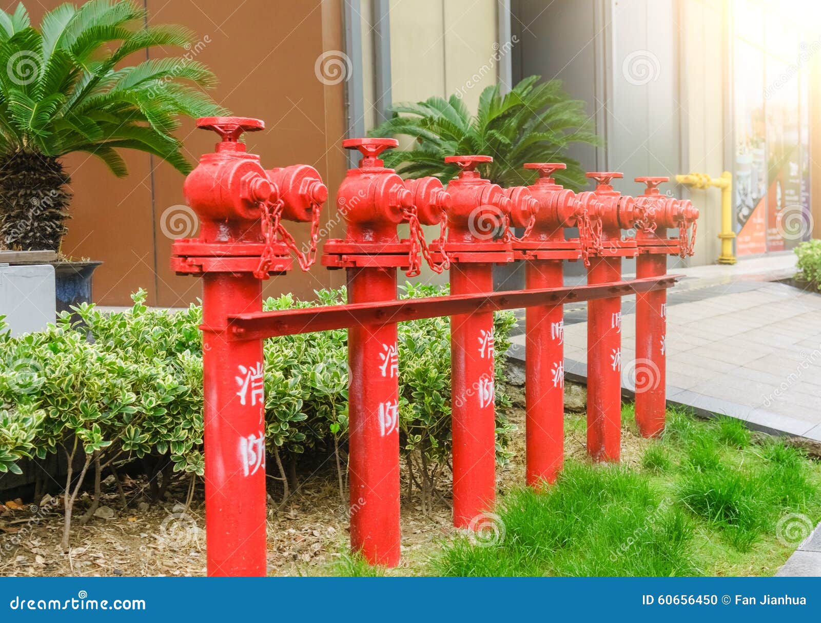 A line of red fire hydrant stock photo. Image of outdoor - 60656450