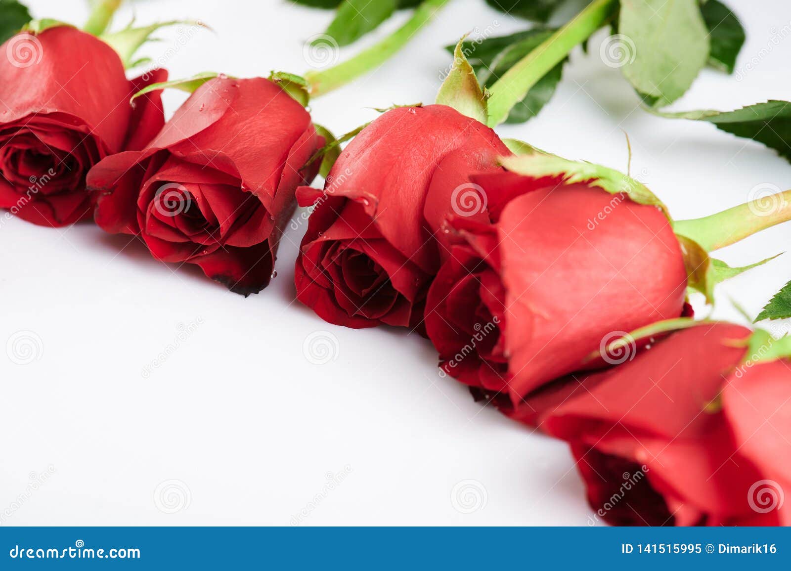 Line of red roses stock image. Image of bouquet, love - 141515995