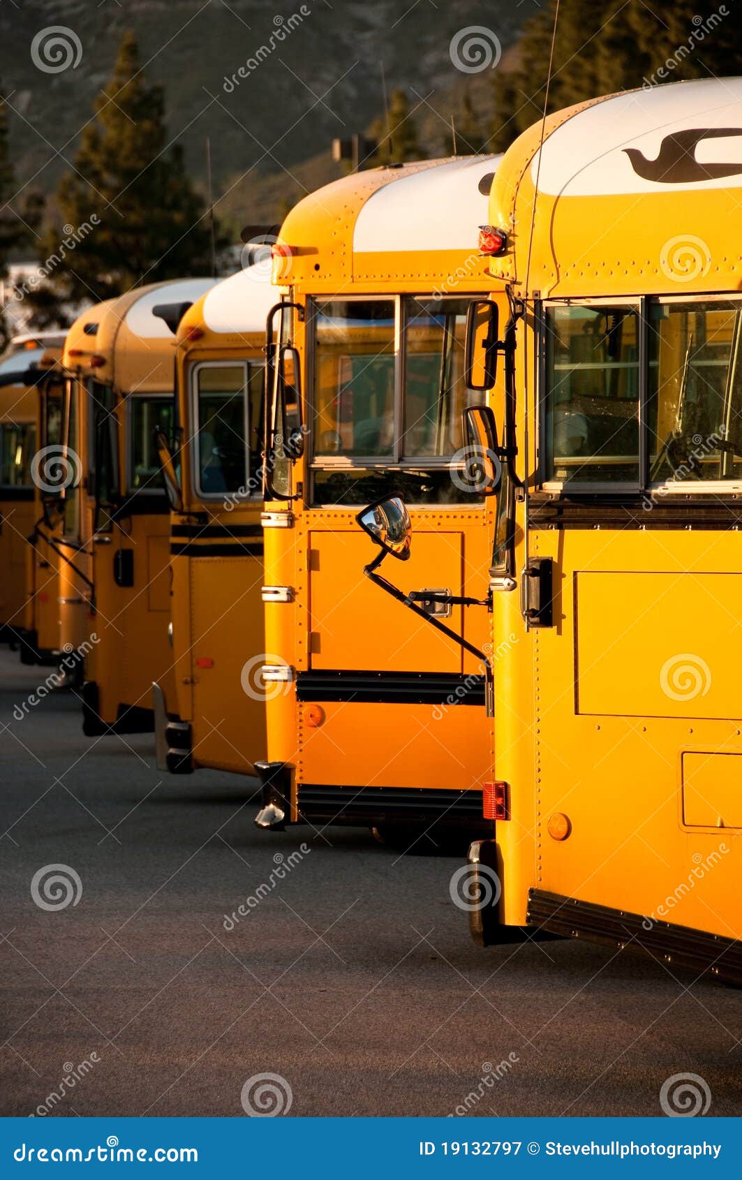 Line of School Buses stock image. Image of line, yellow - 19132797