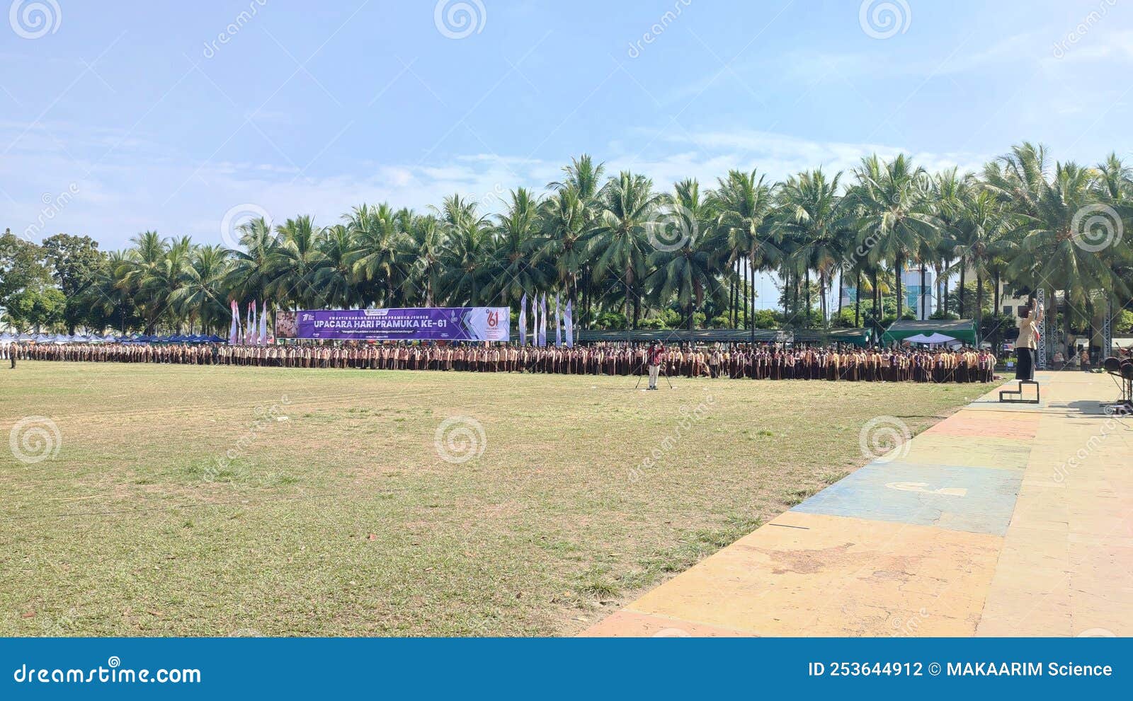 Line of Scouts in the Field Stock Photo - Image of waterway, boardwalk ...