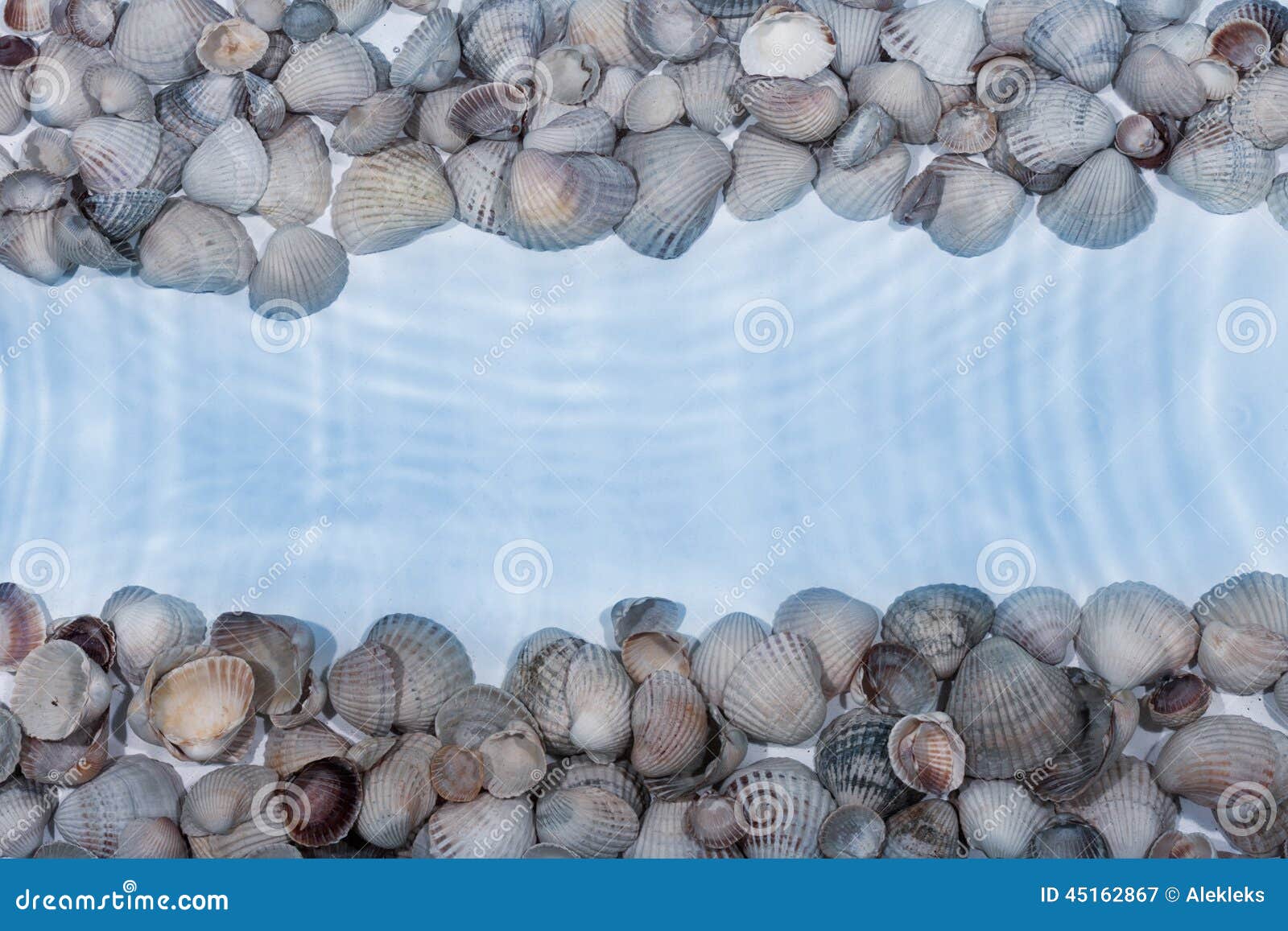 Line of Sea Shells in the Water Stock Image - Image of rain, reflection ...