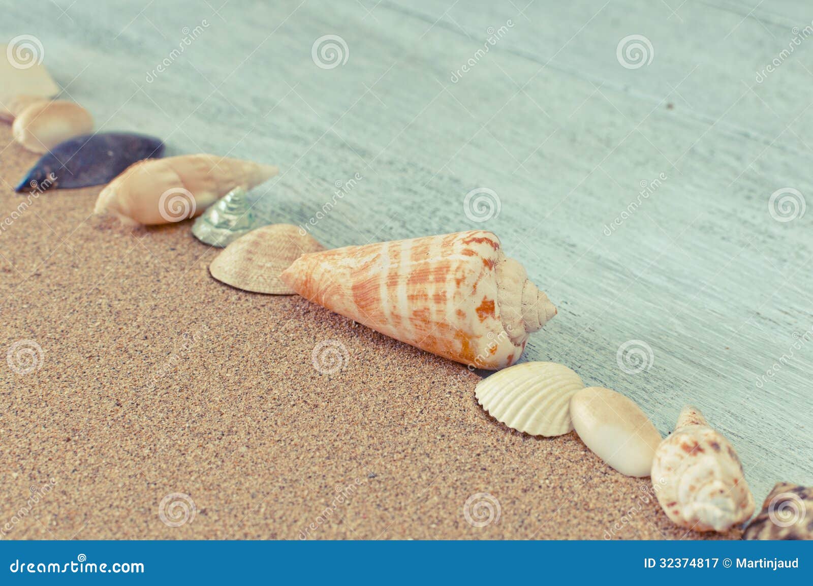Line of Seashells on Beach Sand Stock Image - Image of macro, summer ...
