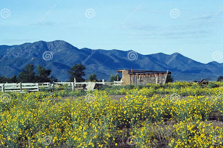Line Shack in the West. stock photo. Image of plants - 11173594