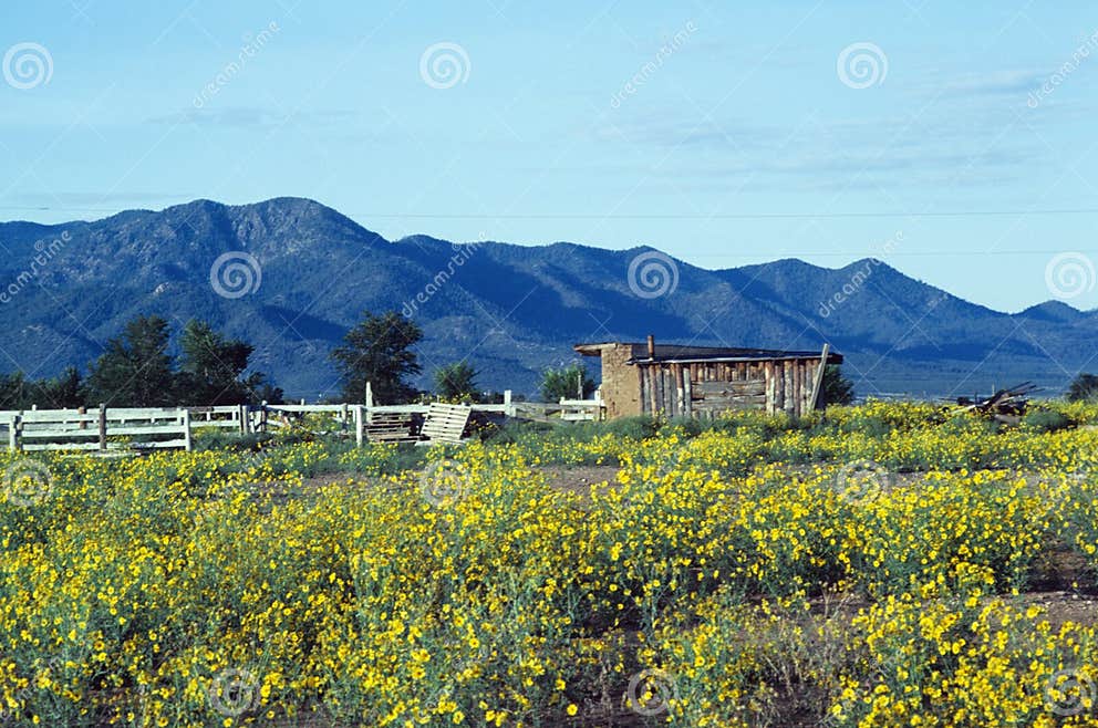 Line Shack in the West. stock photo. Image of plants - 11173594