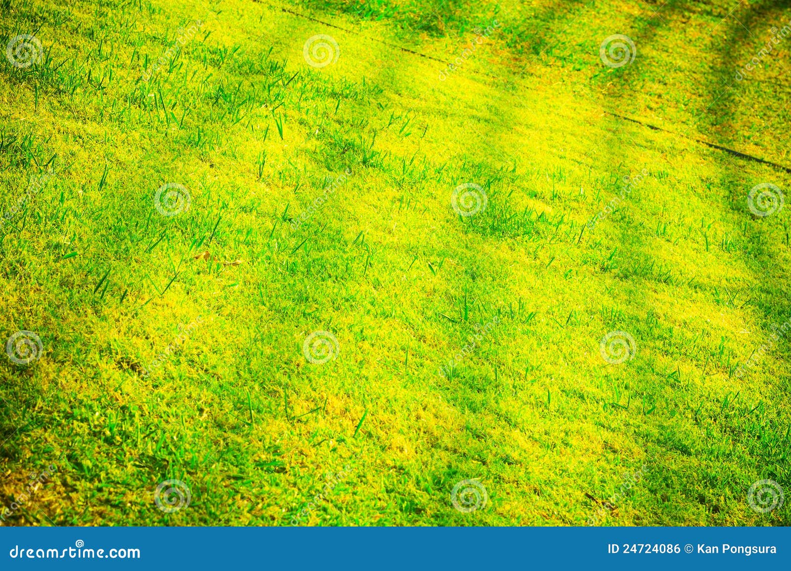 Line Of Shadow Picture. Image: 24724086