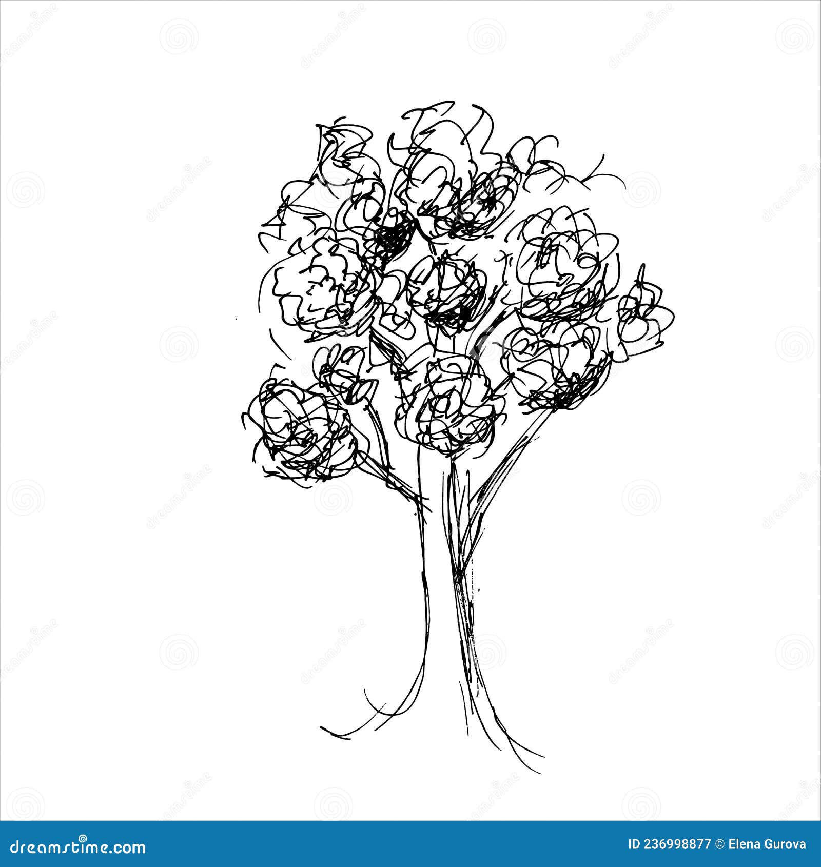 Line Sketch of Deciduous Tree, Vector Isolated. Stock Vector ...