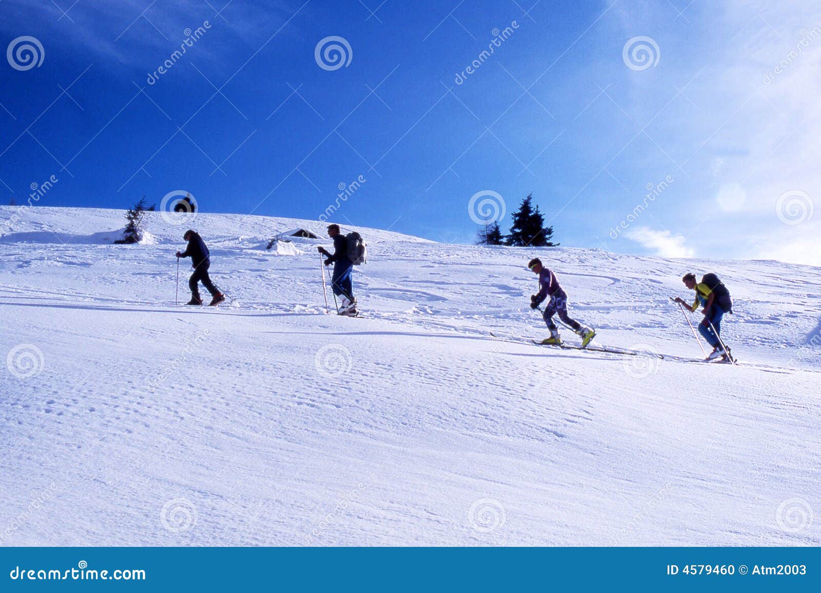 In line on the snow stock photo. Image of independent - 4579460