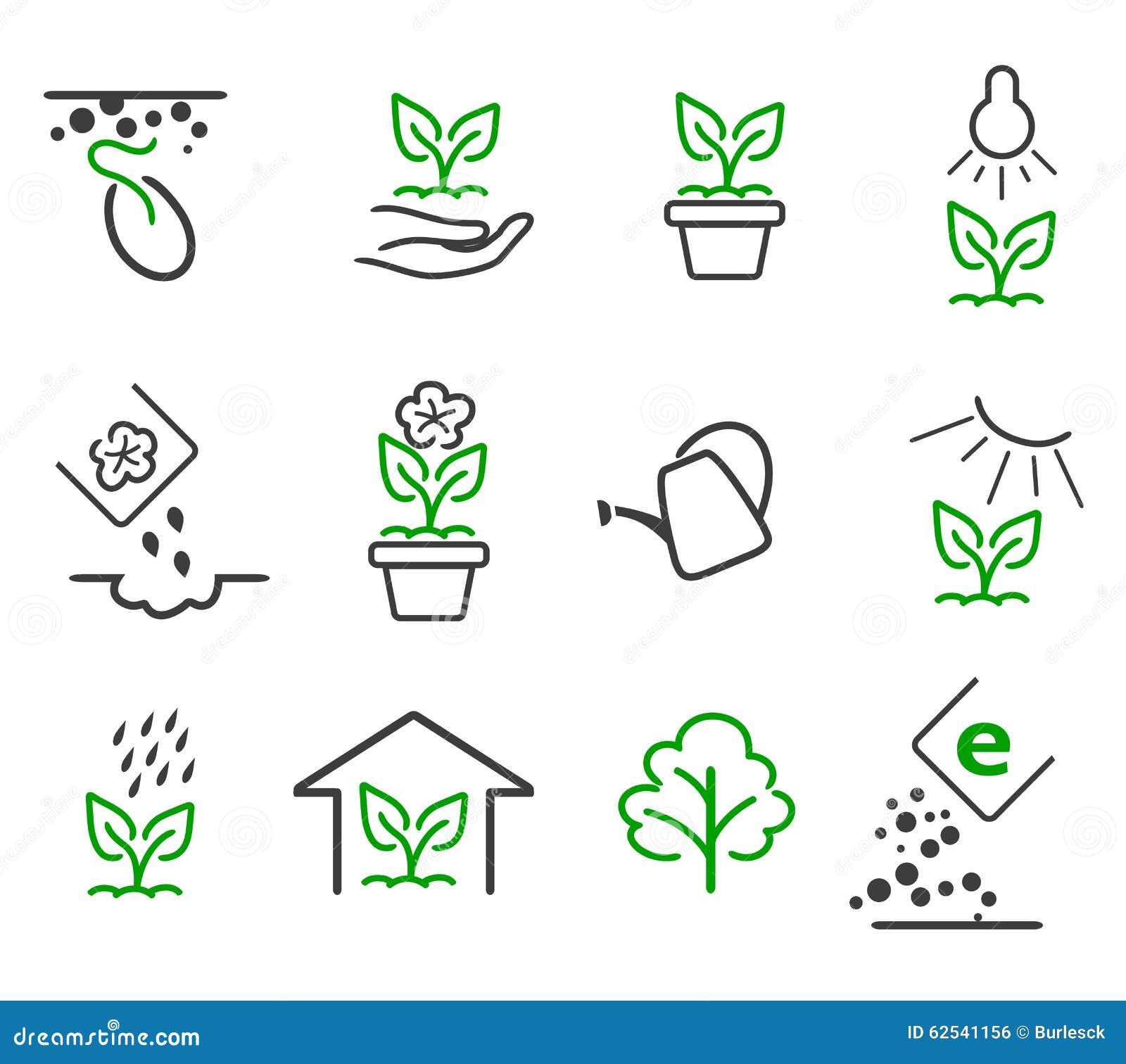 Growing Plant Icon Growing Plant Icon