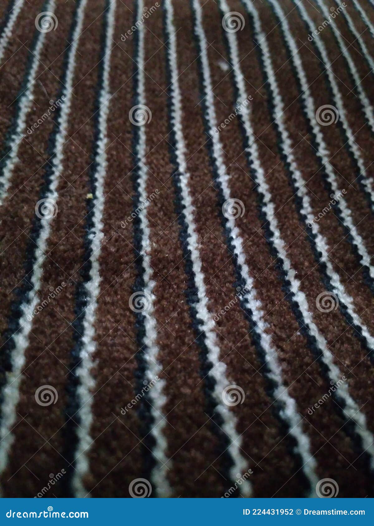 Line of straigh stock photo. Image of wool, brown, soil - 224431952