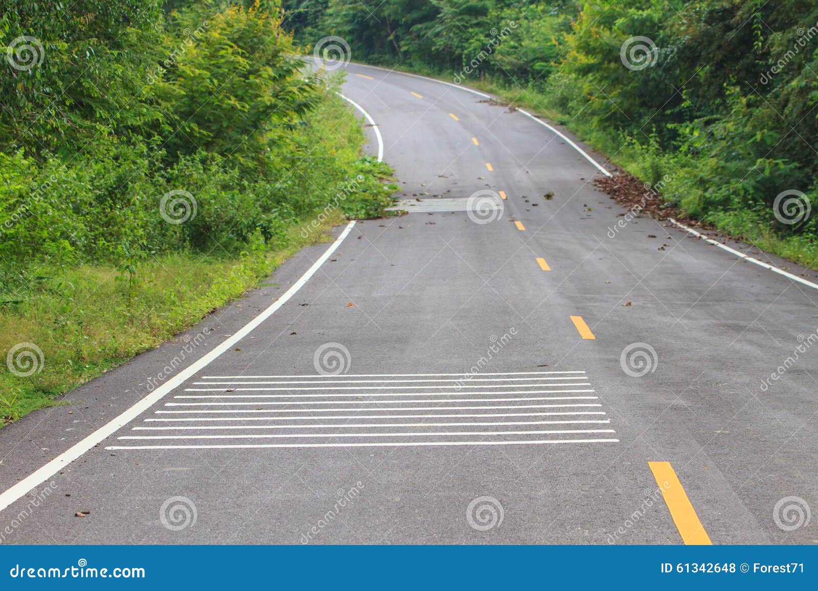Line Symbols Traffic on the Road Stock Photo - Image of scene, nature ...