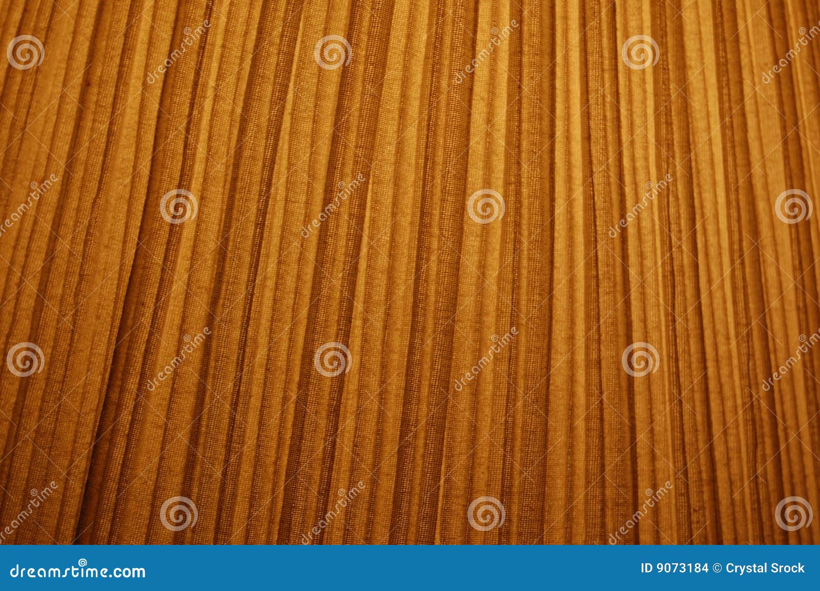 Line Texture , Line Texture Palm Leaf. Green Leaves Plan Leaf ...