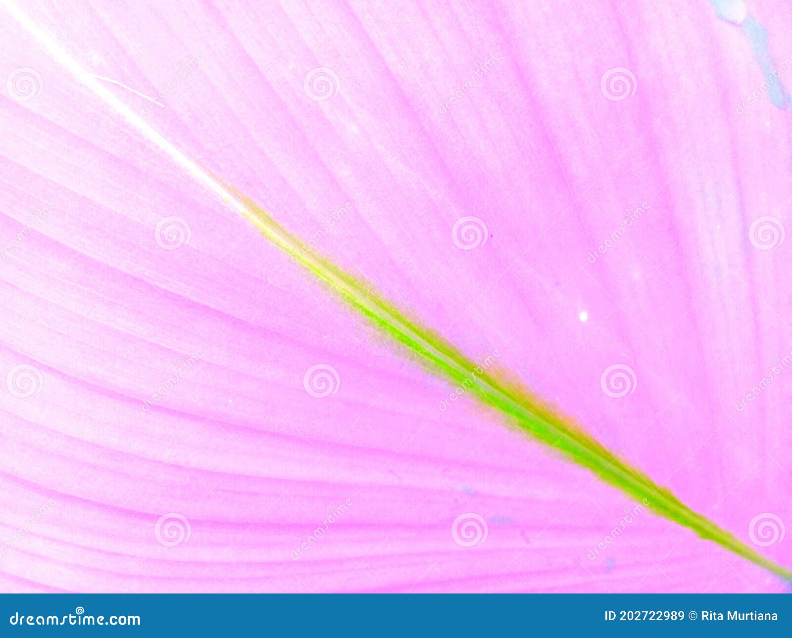 Line texture background stock image. Image of background - 202722989