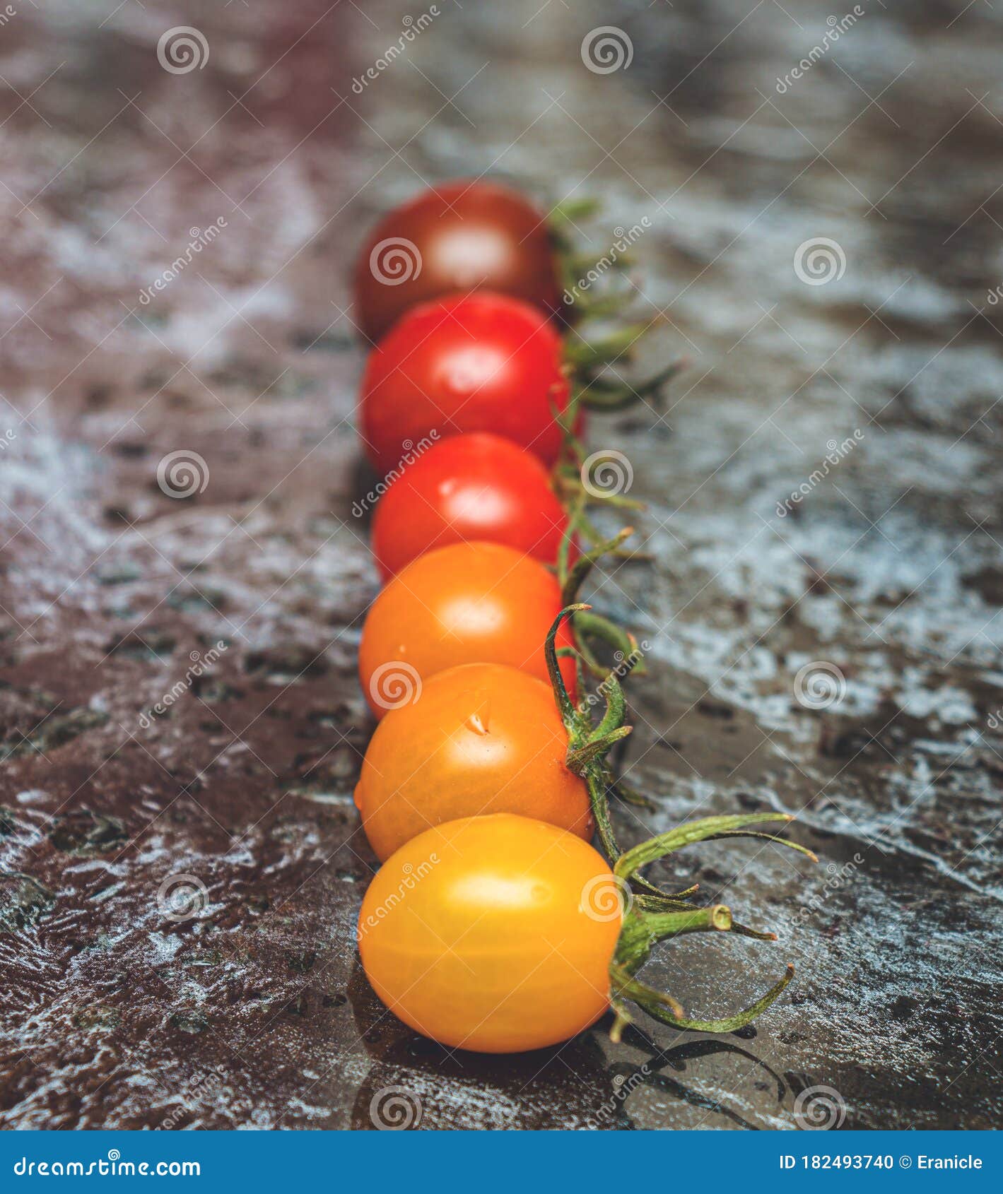 Line of tomatoes stock photo. Image of black, home, background - 182493740
