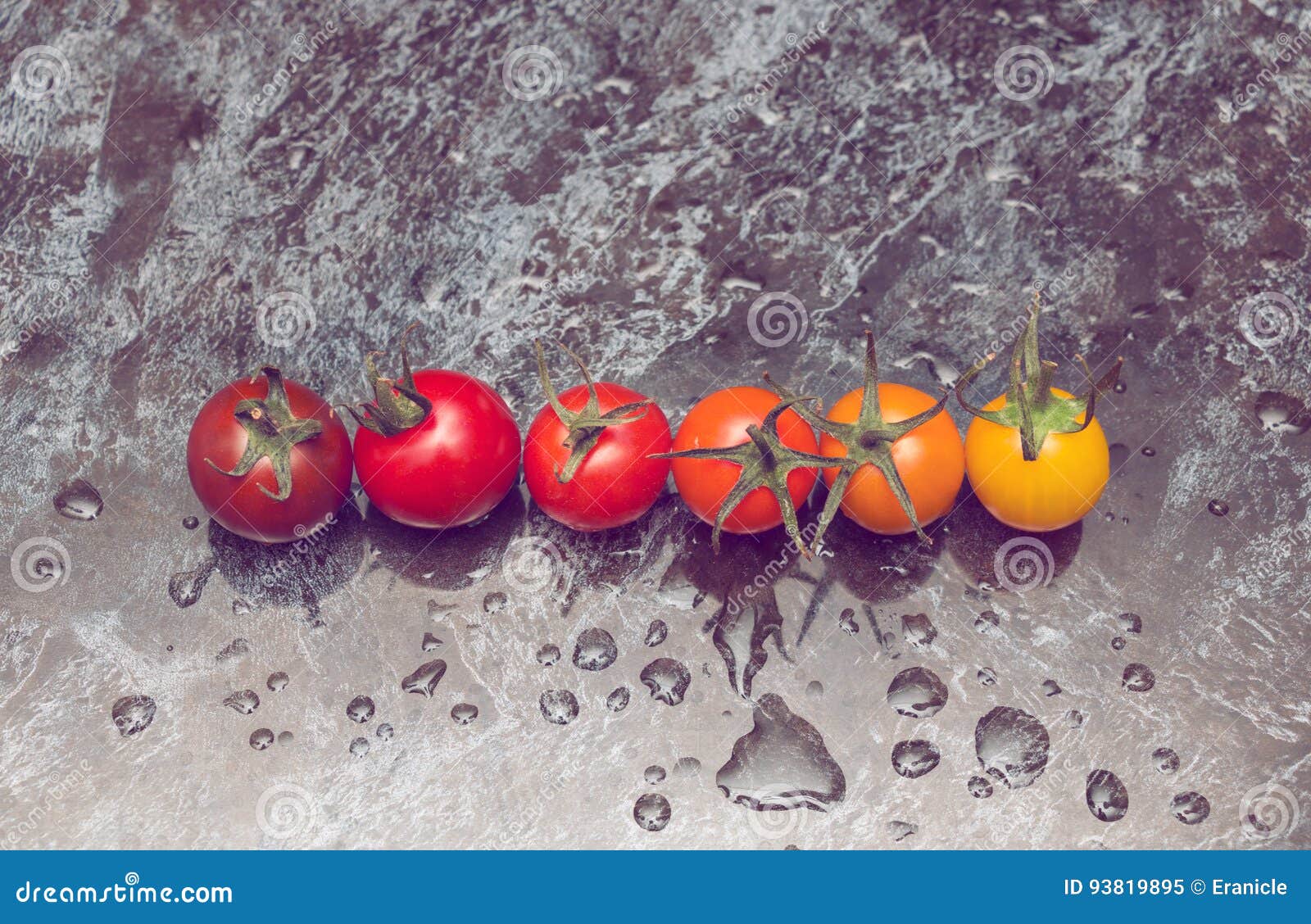 Line of tomatoes stock image. Image of ramp, orange, green - 93819895