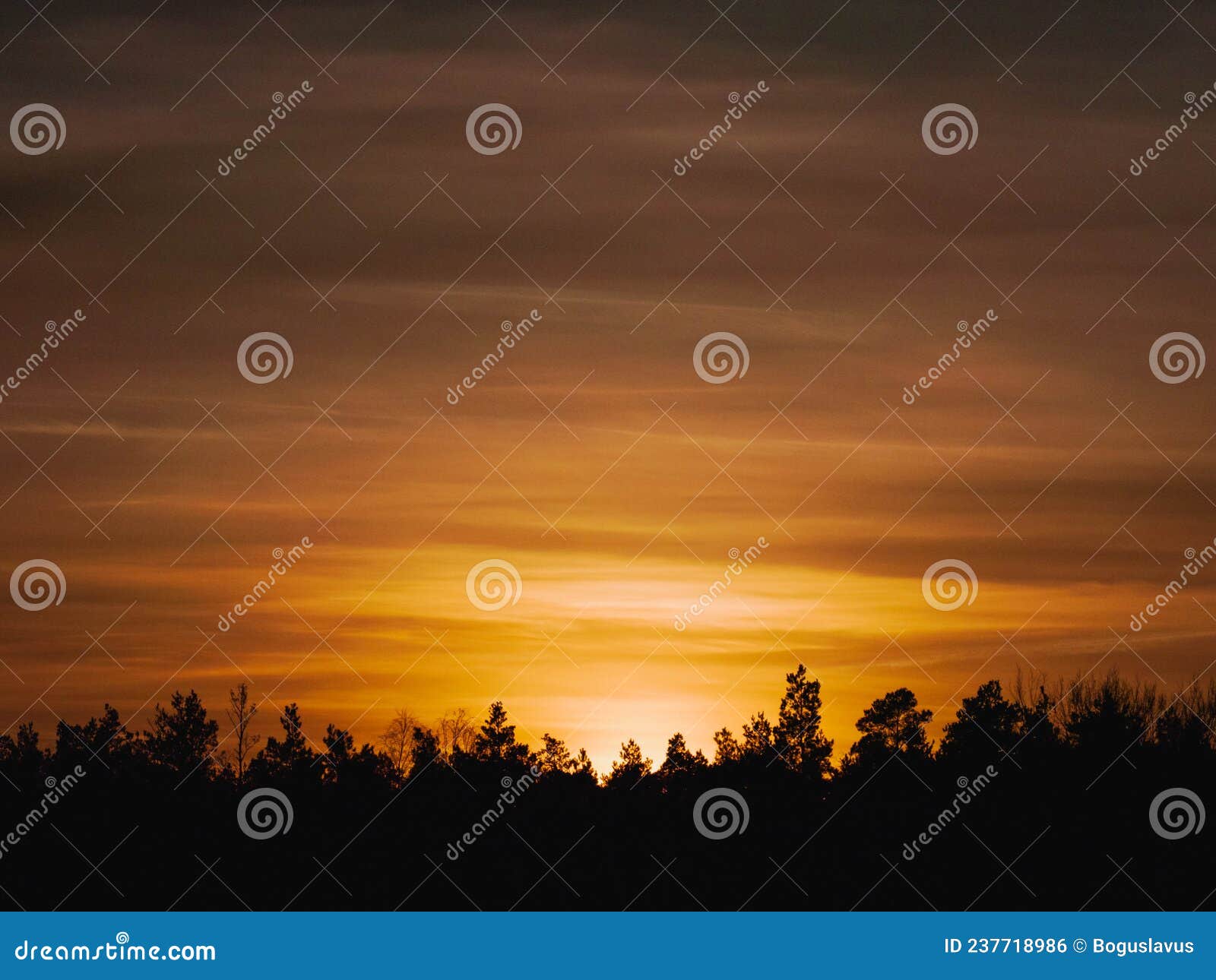 Sunset over the treetops. stock photo. Image of kitschy - 237718986