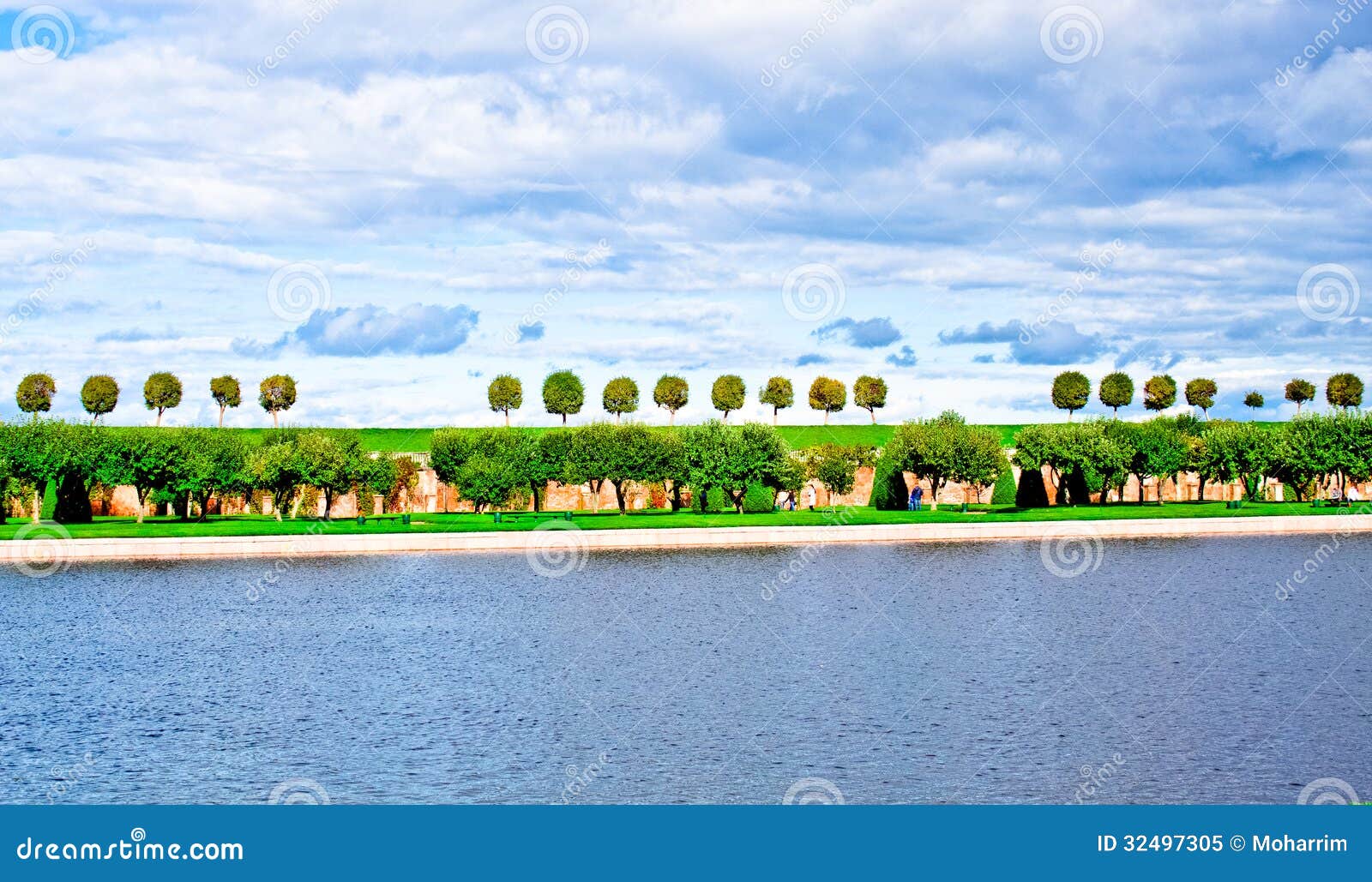 Line of trees stock image. Image of greenery, leaves - 32497305