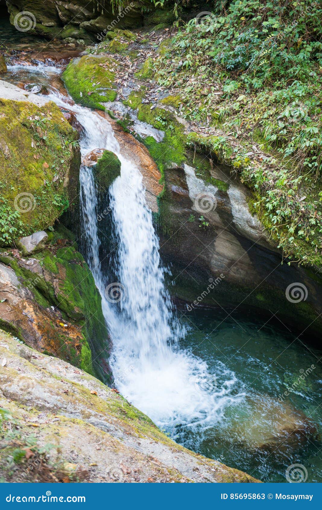 Line of the Water on Waterfall Stock Image - Image of landscape, forest ...