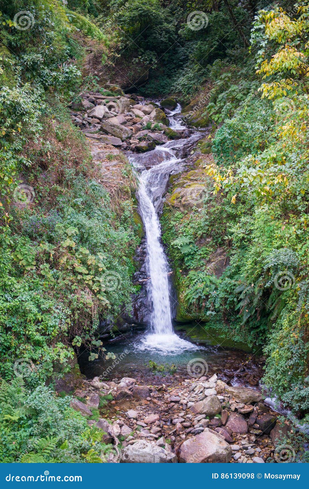 Line of the Water on Waterfall Stock Photo - Image of fresh, swim: 86139098