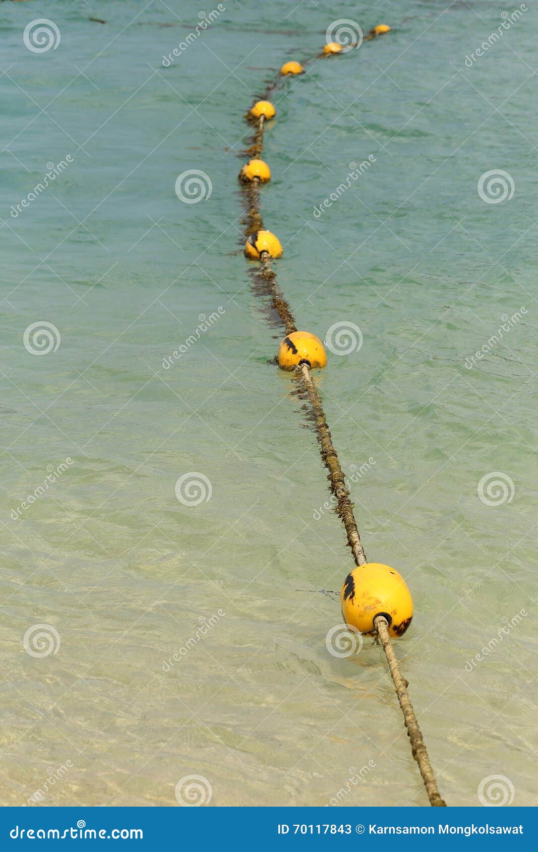 Line of Yellow Buoys on the Rope Floating in the Sea Stock Image ...