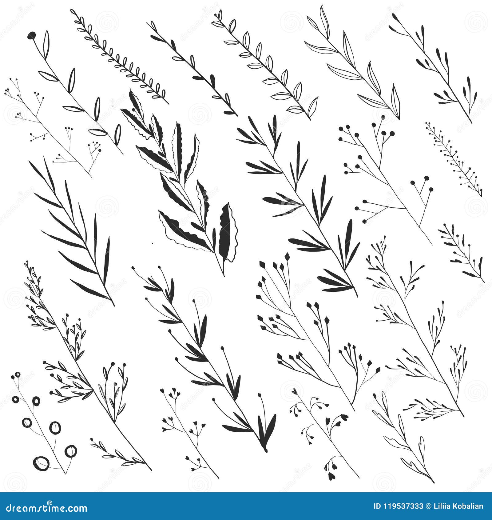 Vector linear plants stock illustration. Illustration of florism ...