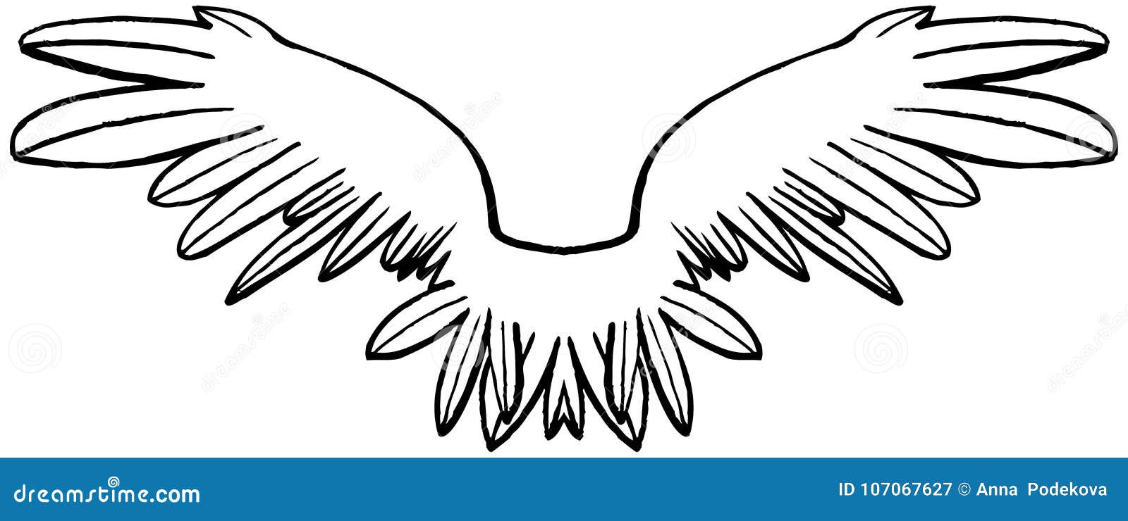 Linear Black and White Symmetrical Wings. Stock Image - Illustration of ...
