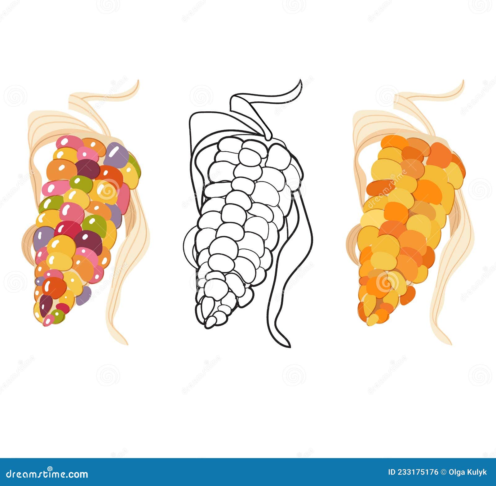 Linear Color Corn, Contour, Shape, Outline Isolated on White. Thin Line ...