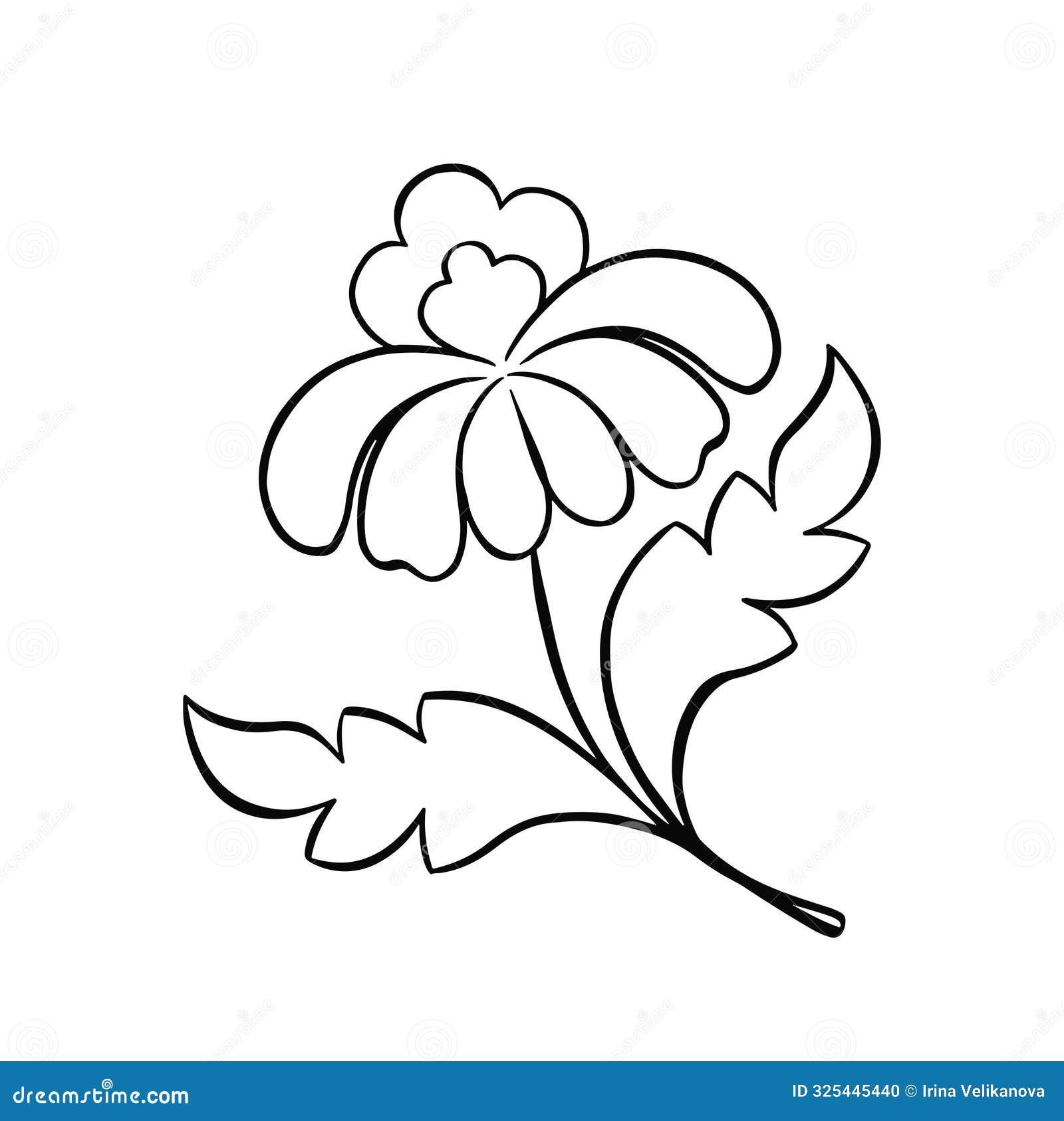 Linear Coloring Flower Decorative Decoration Outline, Vector ...
