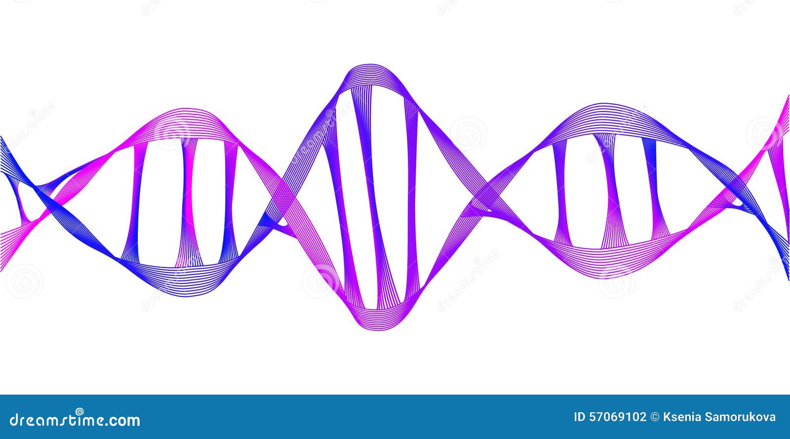 Linear DNA helix stock vector. Illustration of white - 57069102