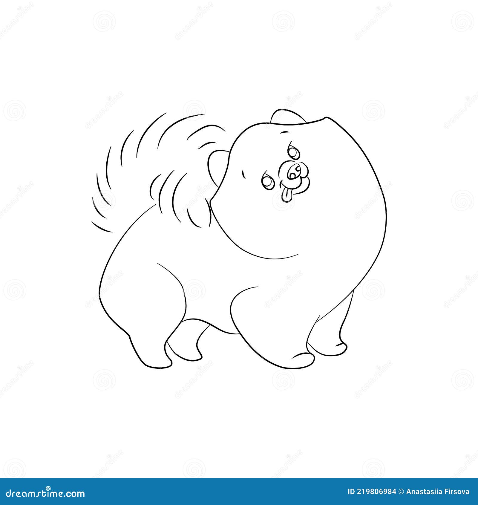 Linear Drawing of a Spitz Dog. Monochrome Vector Illustration on White ...