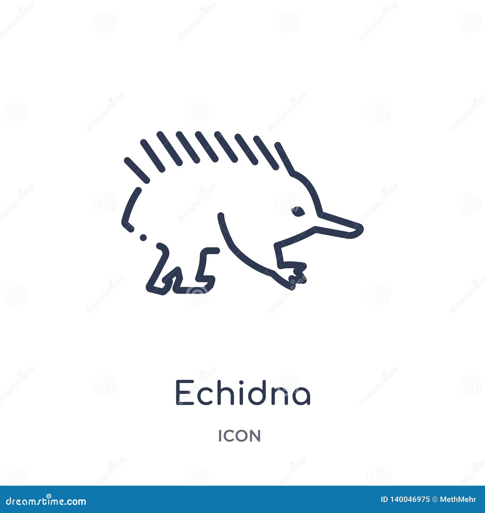 Linear Echidna Icon From Animals And Wildlife Outline Collection. Thin ...