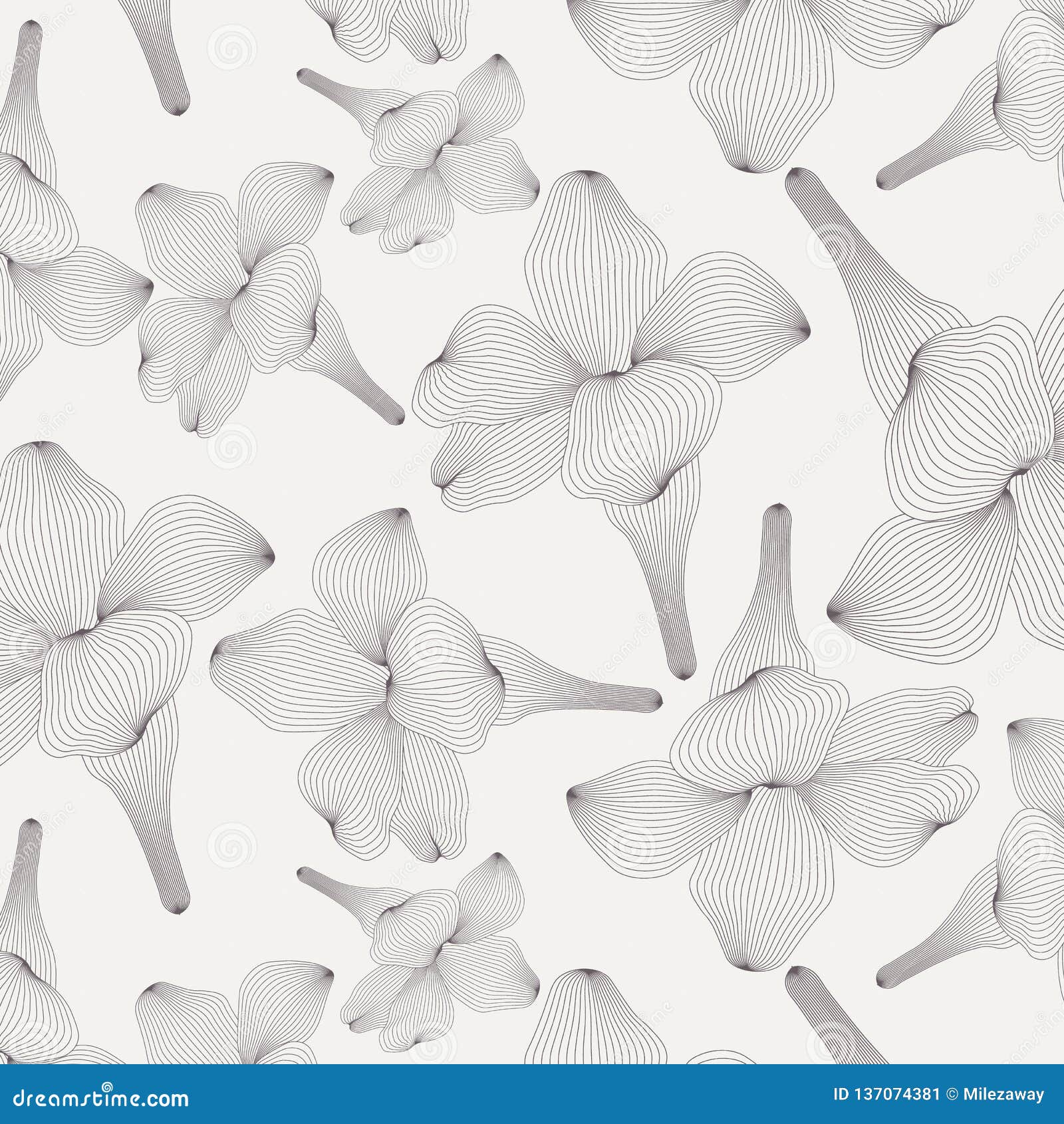 Linear Floral Background, Flowers Pattern. Line Illustrations Stock ...