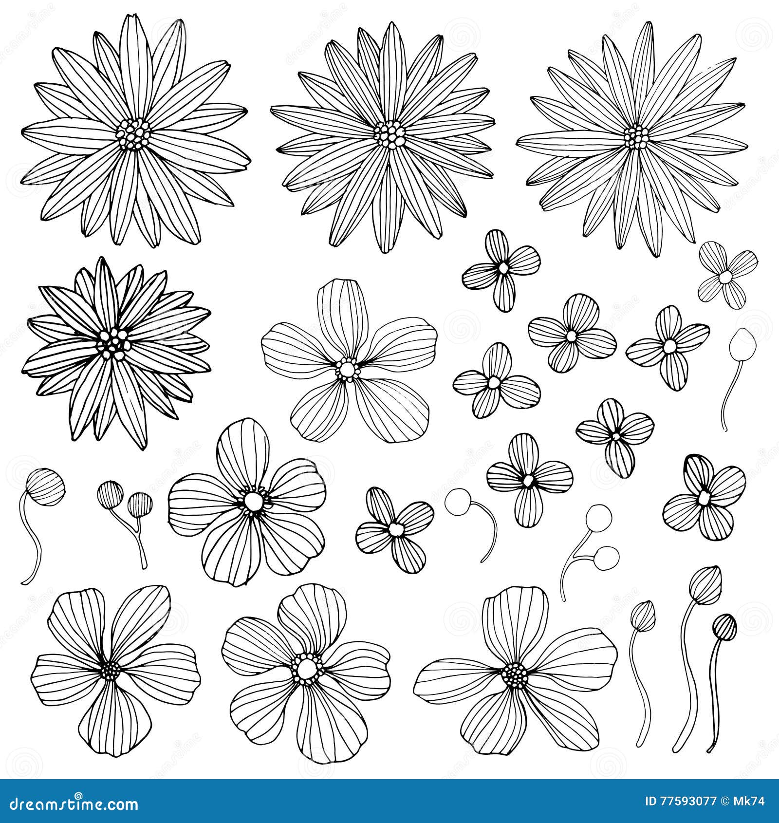 Linear Flowers - Hand Drawn Set Stock Vector - Illustration of outline ...