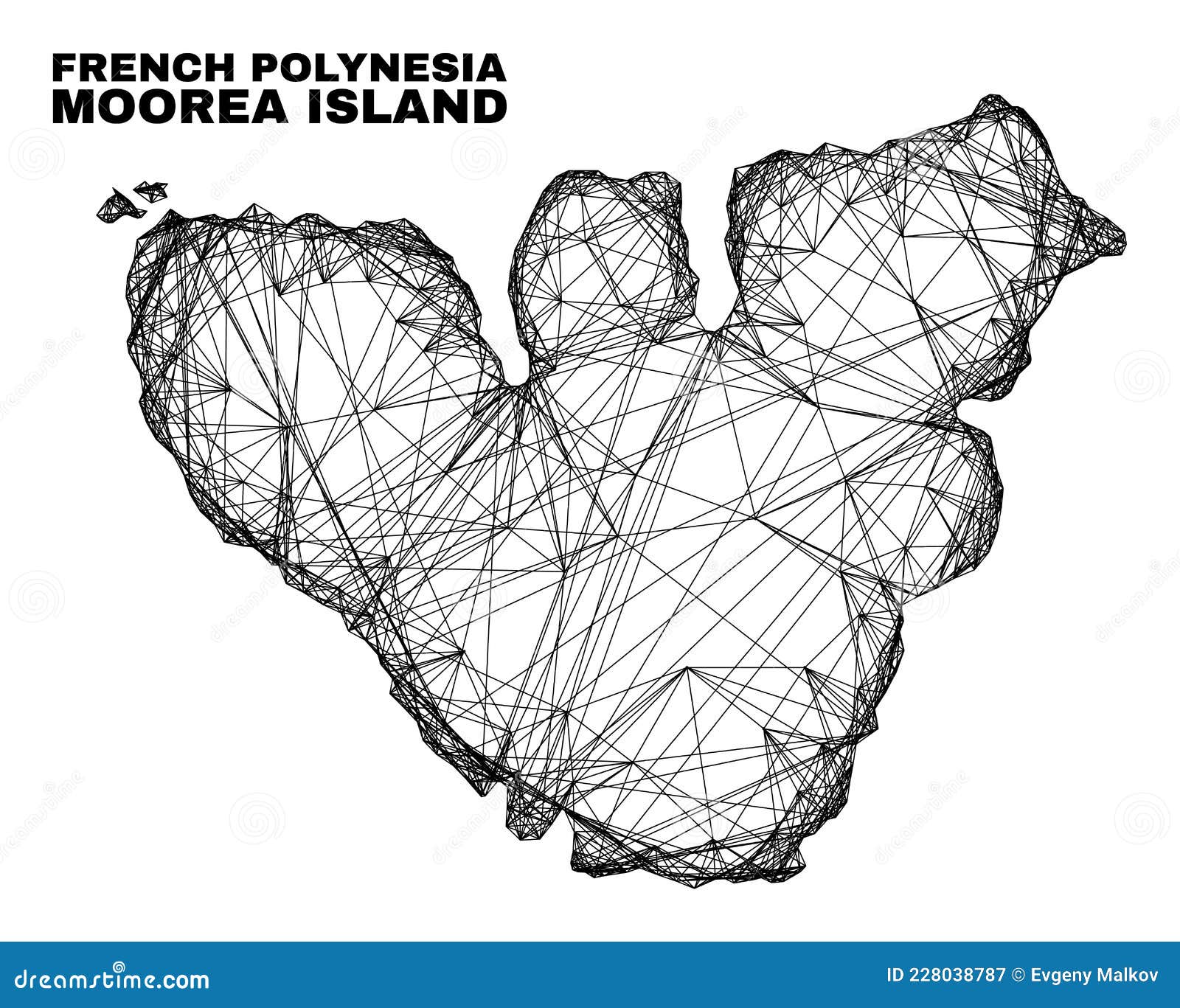 Linear Irregular Mesh Moorea Island Map Stock Vector Illustration Of Pattern Vector 228038787