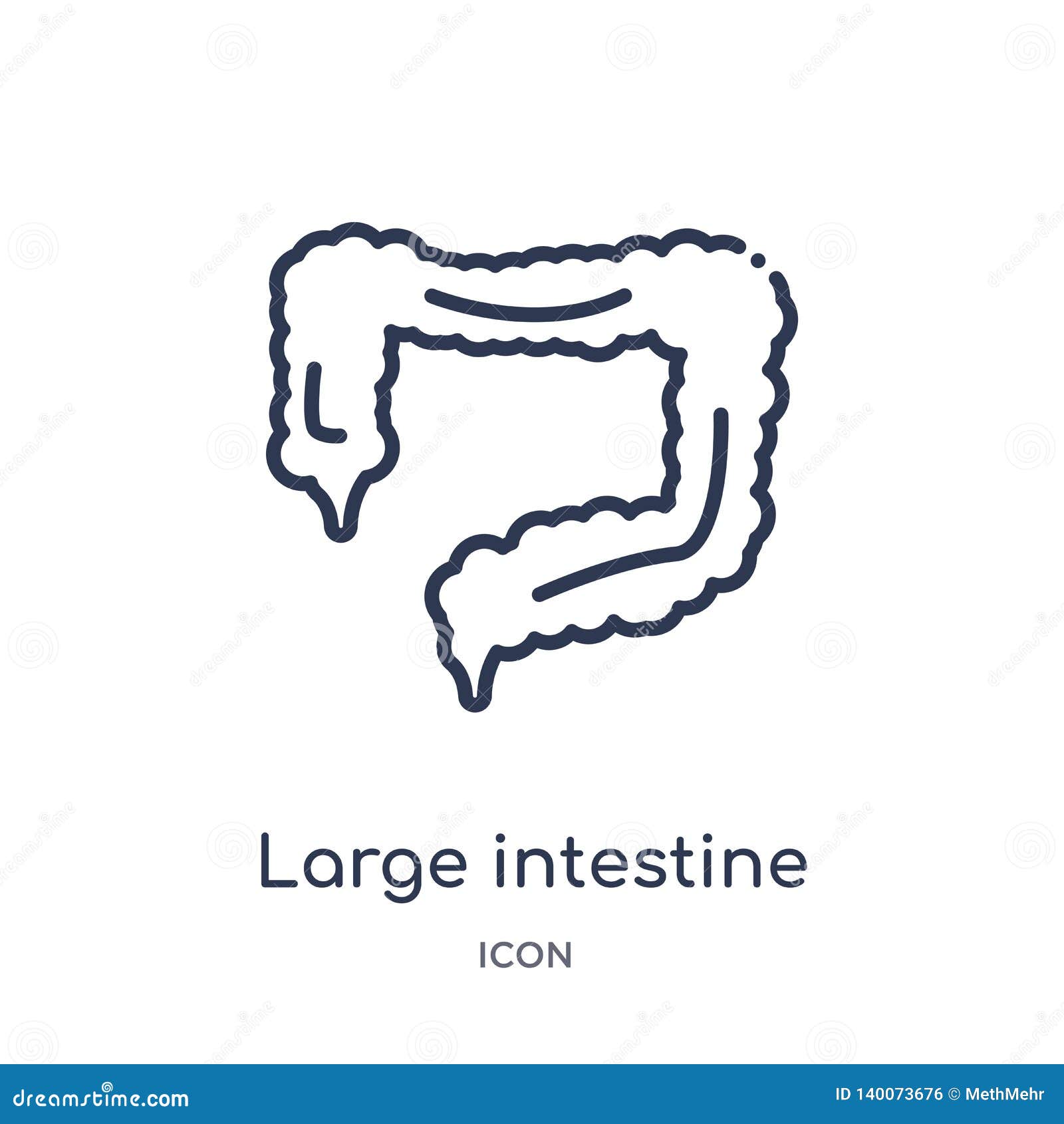 Linear Large Intestine Icon from Human Body Parts Outline Collection ... Linear Large Intestine Icon from Human Body Parts Outline Collection ...