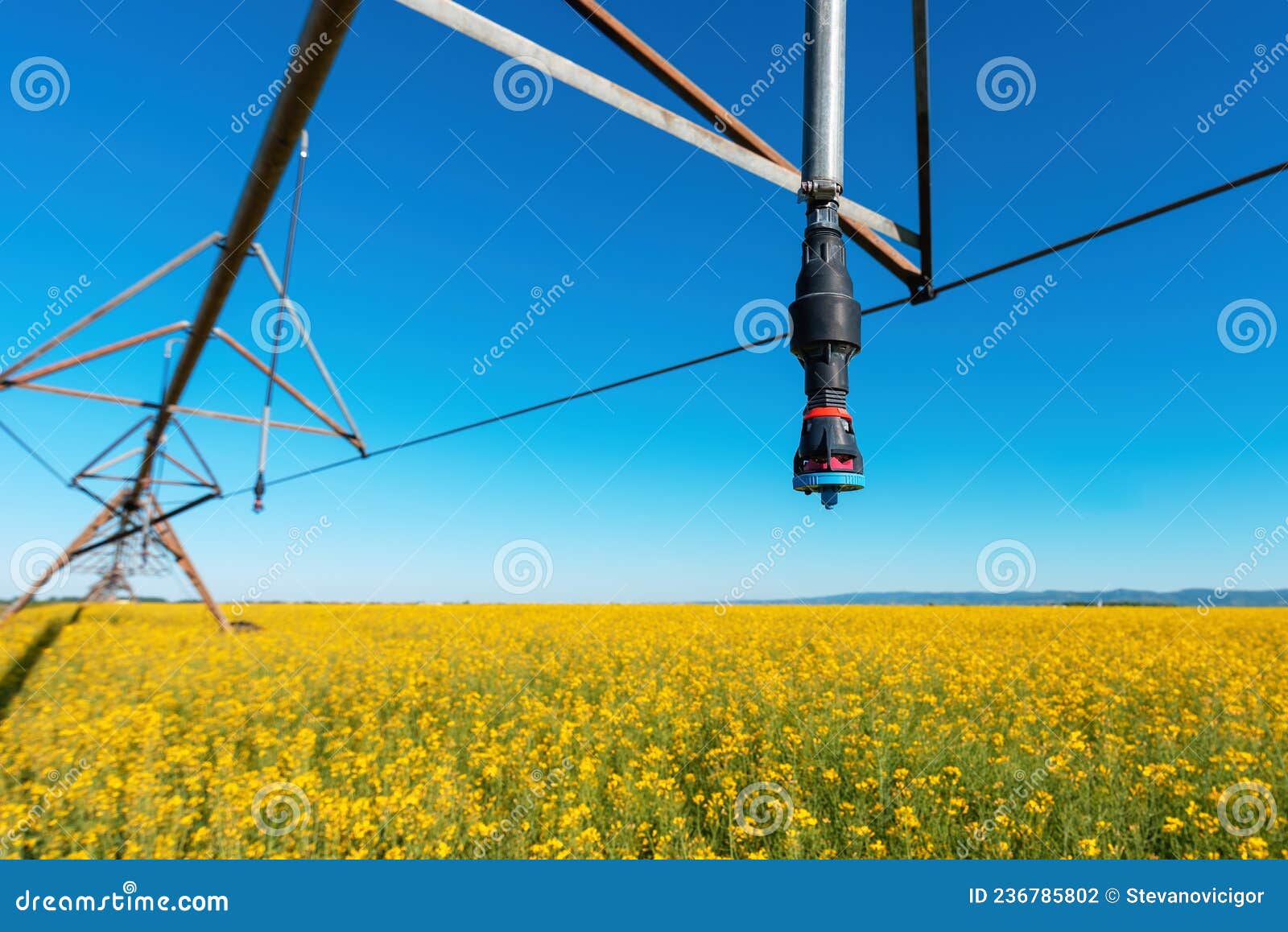 Linear or Lateral Move Irrigation with Rotator Style Pivot Applicator ...