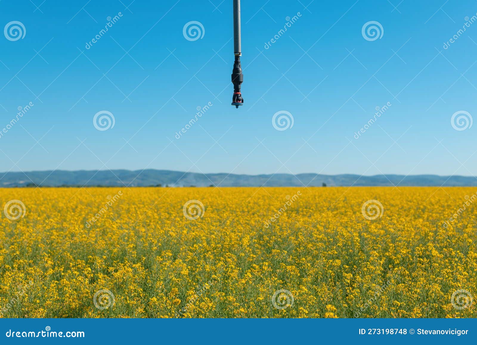 Linear or Lateral Move Irrigation with Rotator Style Pivot Applicator ...