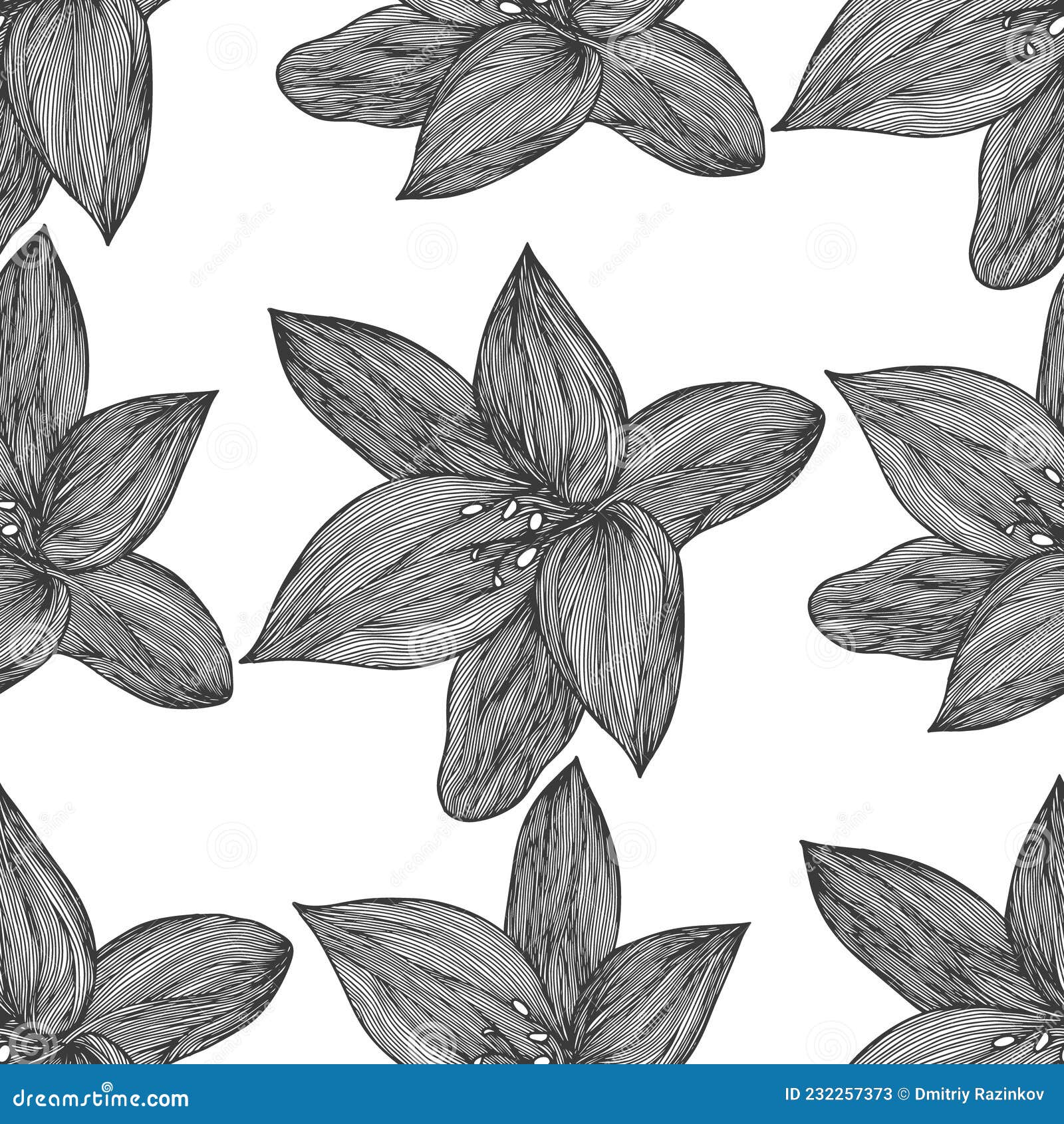 Floral Vector Background Black and White. Linear Lily Flower Line ...