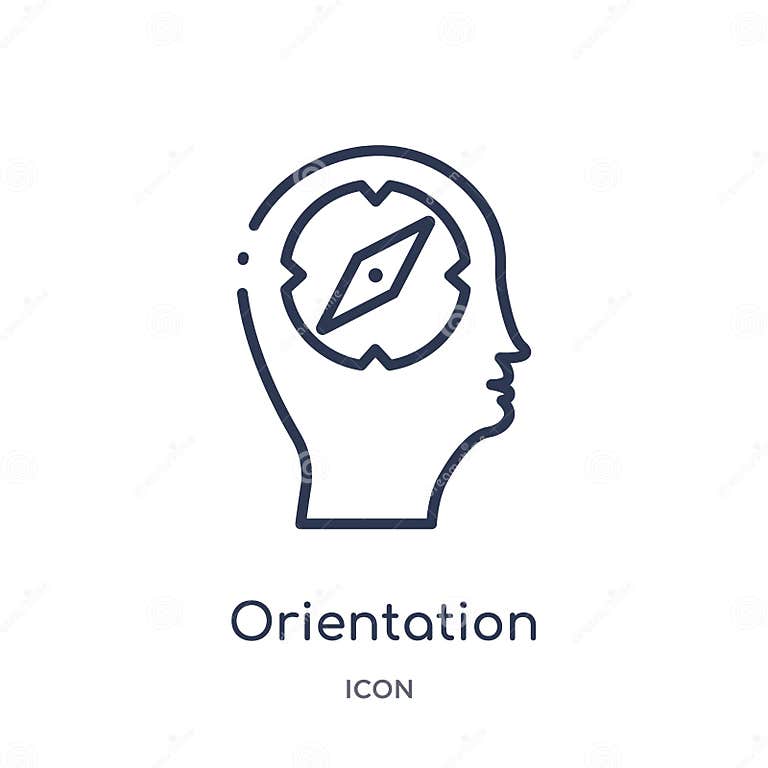 Linear Orientation Icon from Brain Process Outline Collection. Thin ...