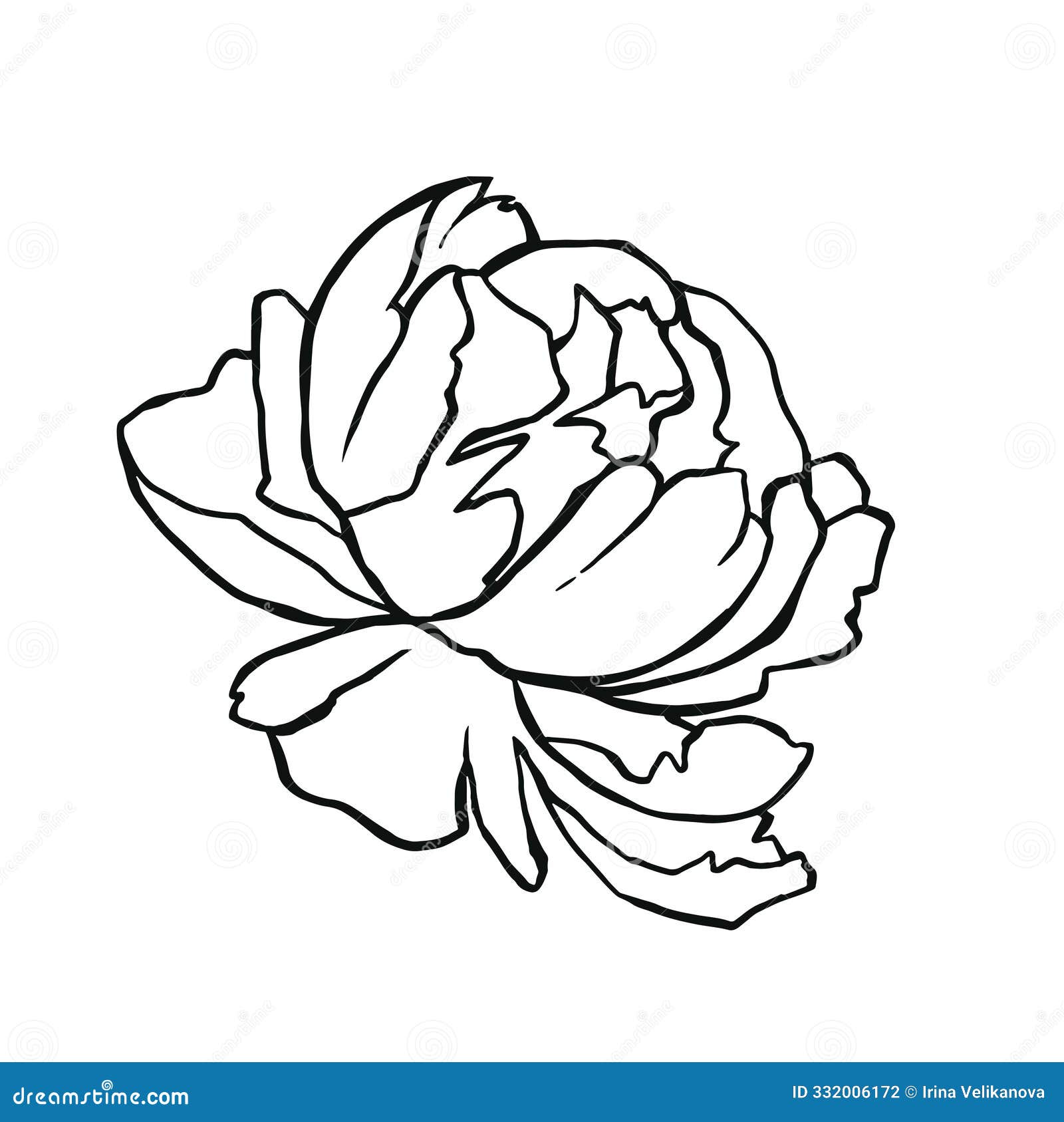 Linear Outline Peony Flower Tattoo Vector Stock Illustration ...