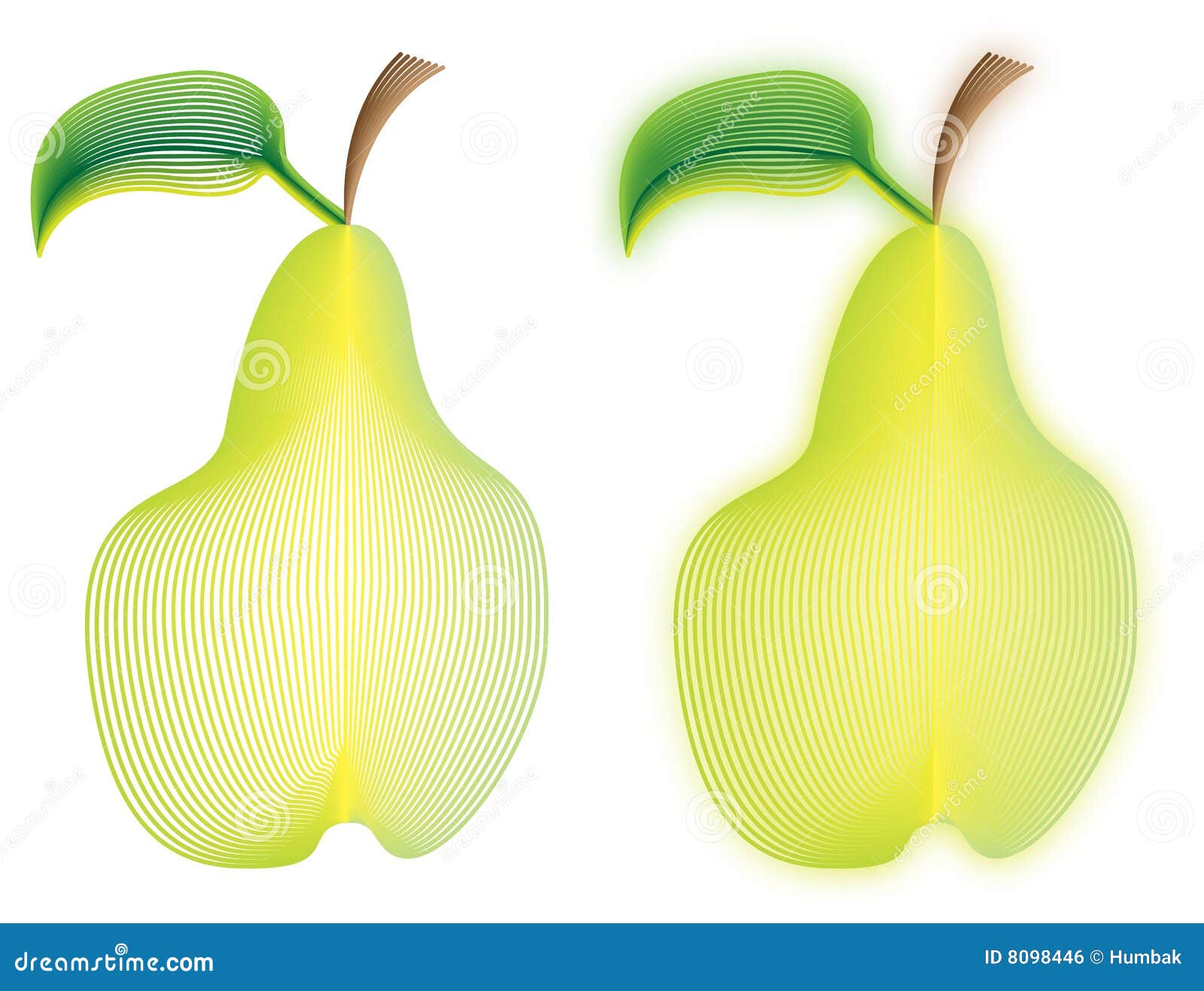Linear pears stock illustration. Illustration of background - 8098446