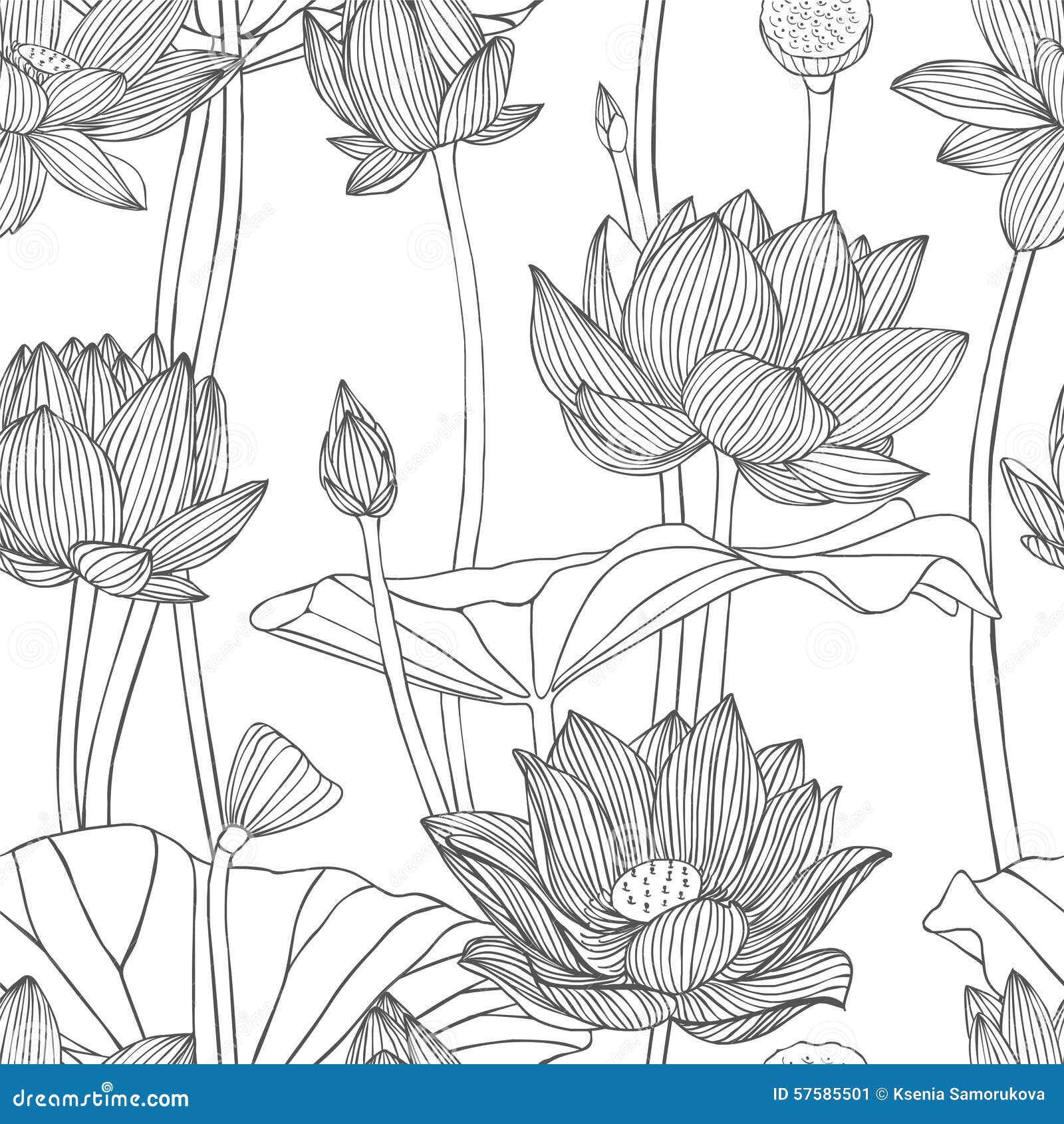 Linear Seamless Pattern - Lotus Flower. Stock Vector - Illustration of ...